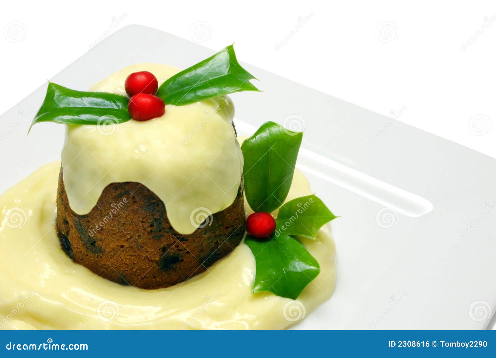 Pudim do Natal foto de stock. Imagem de festival, comemore - 2308616