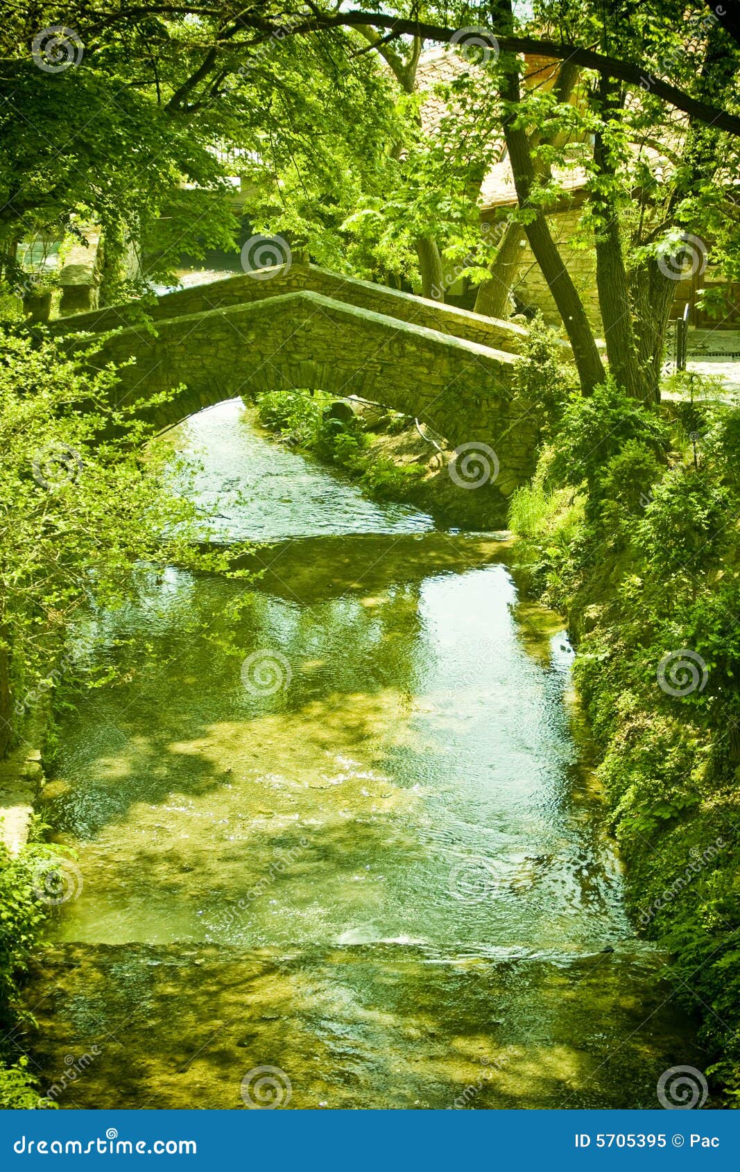 Puente De Piedra Sobre El Río Imagen de archivo - Imagen de agua, hojas ...