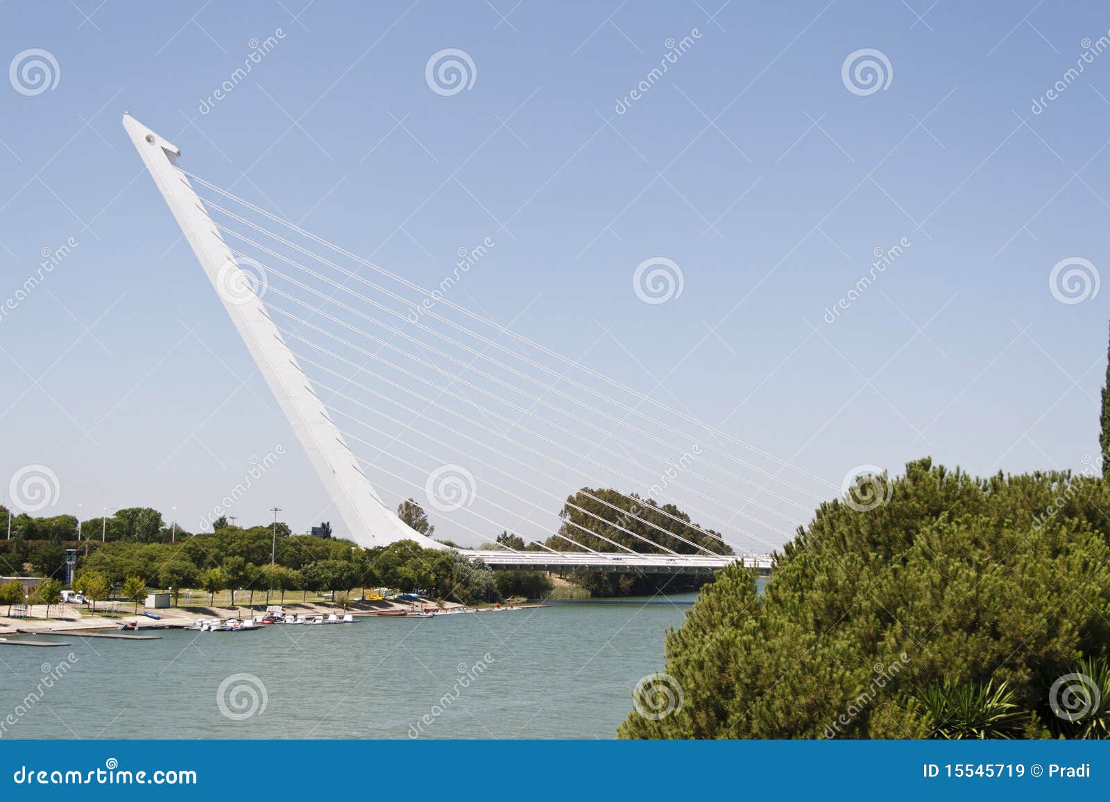 Puente del Alamillo editorial stock image. Image of support - 15545719