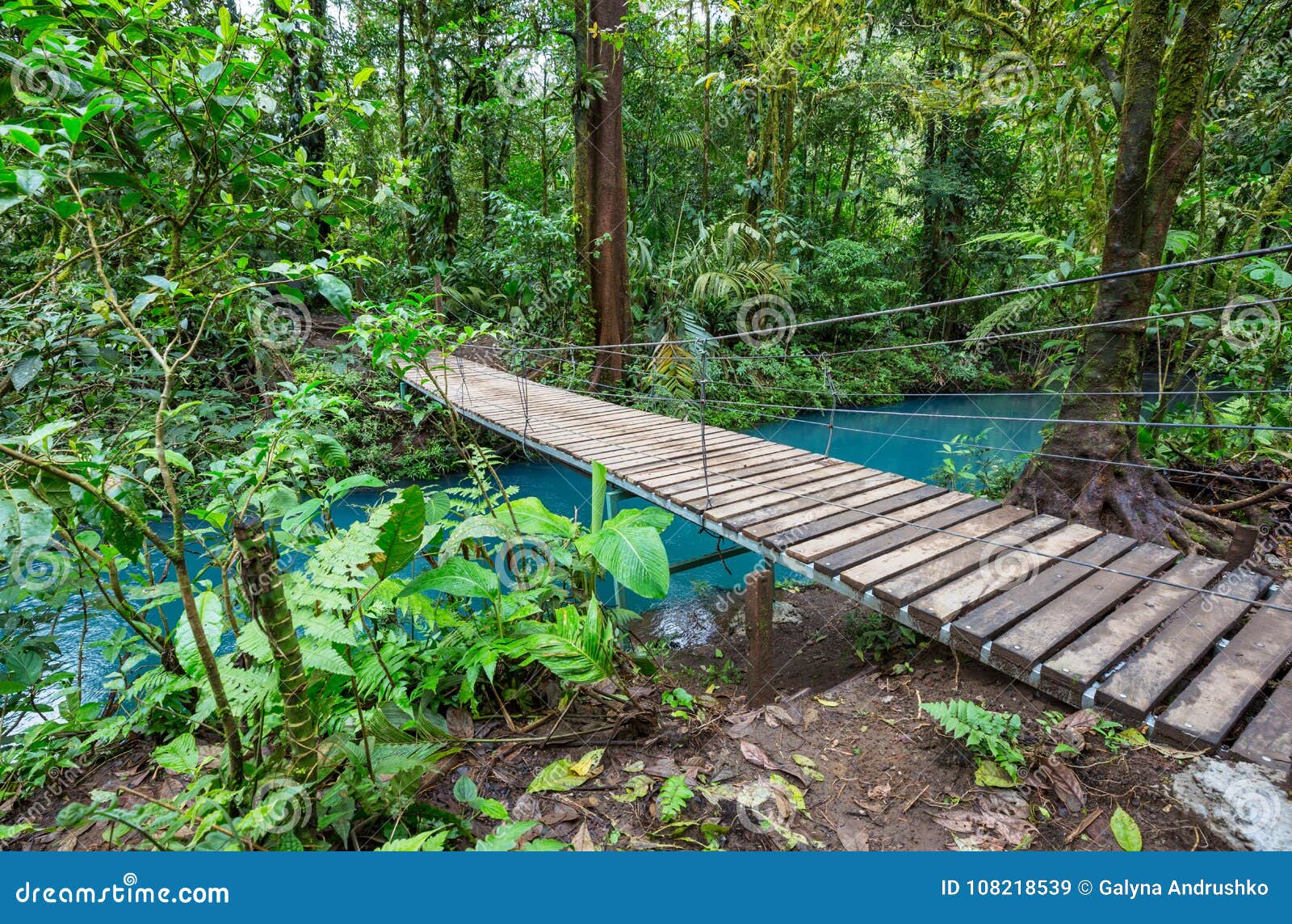 Puente en Costa Rica imagen de archivo. Imagen de fondo - 108218539