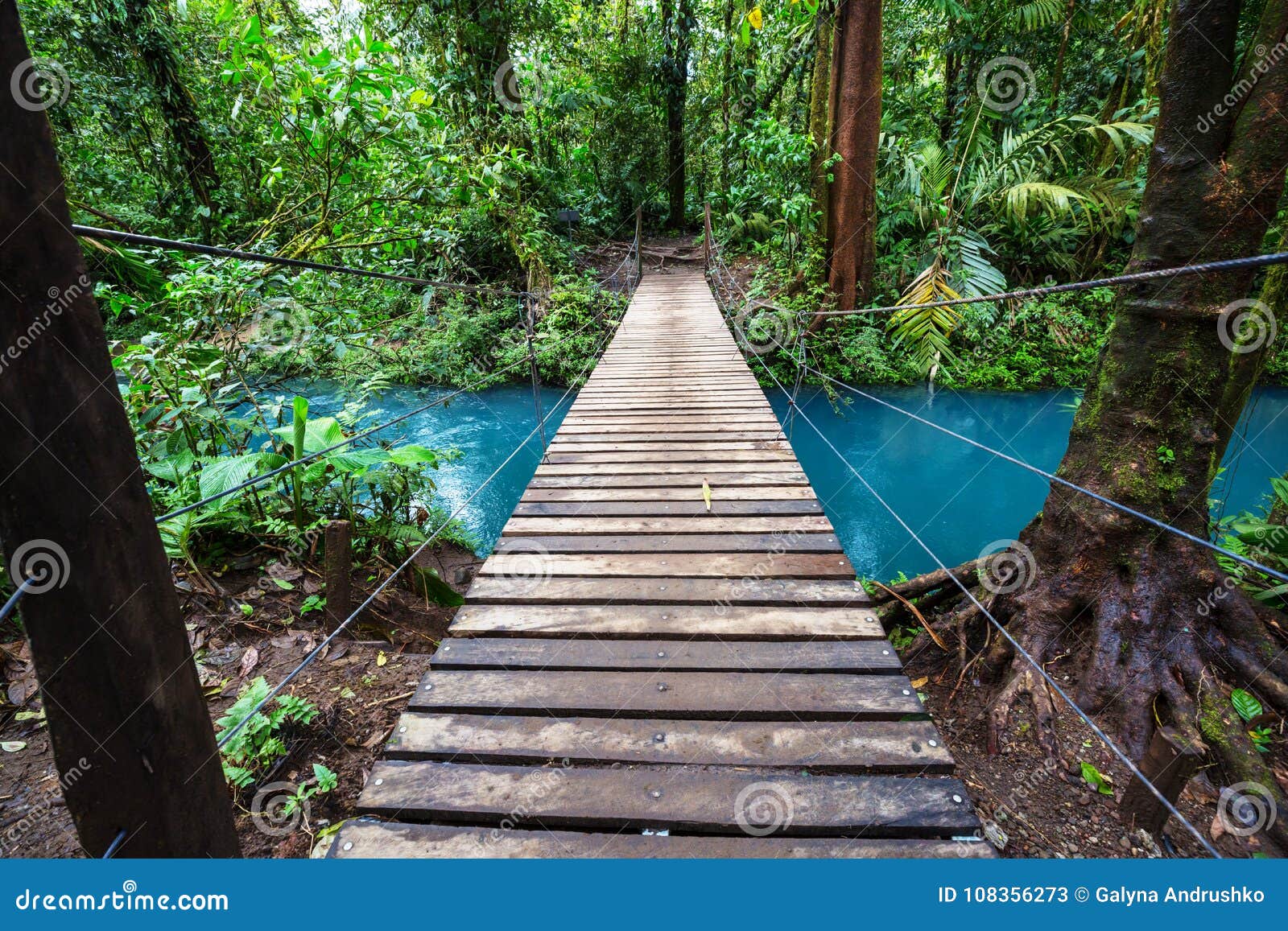 Puente en Costa Rica imagen de archivo. Imagen de alza - 108356273
