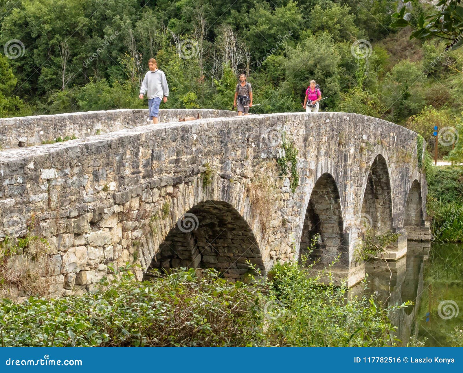 Puente Medieval - Trinidad De Arre Foto editorial - Imagen de navarra ...
