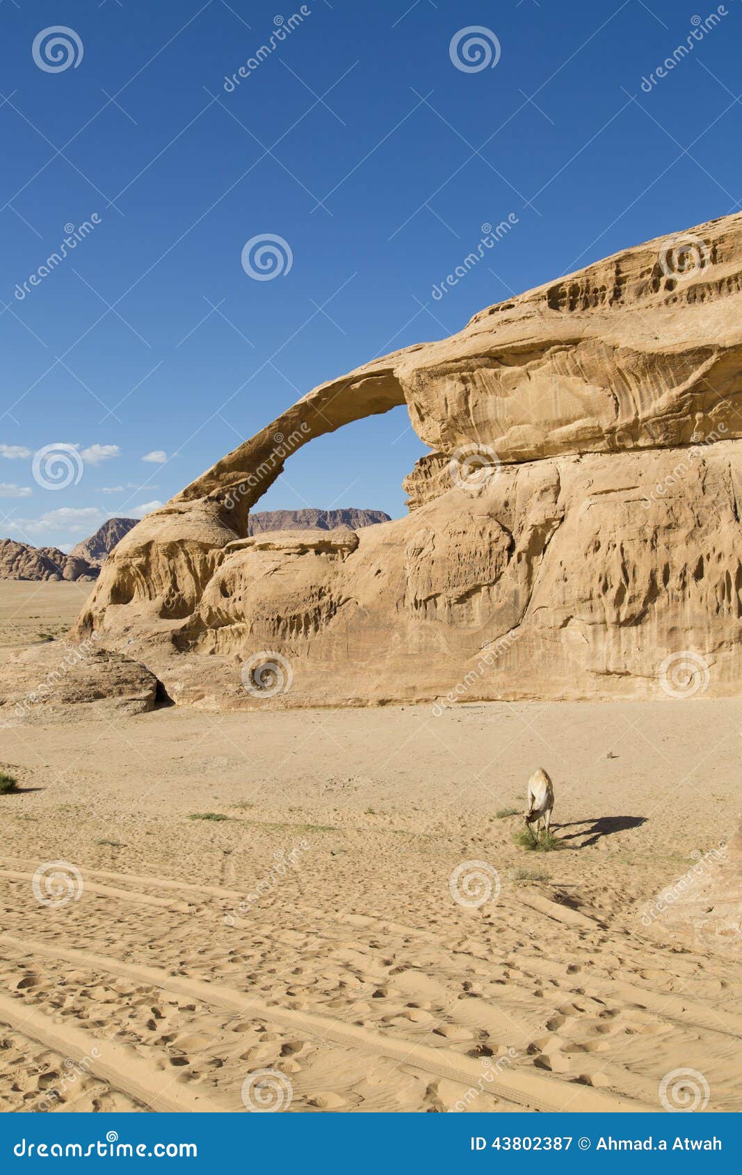 Puente Natural De La Roca En Wadi Rum Imagen de archivo - Imagen de ...