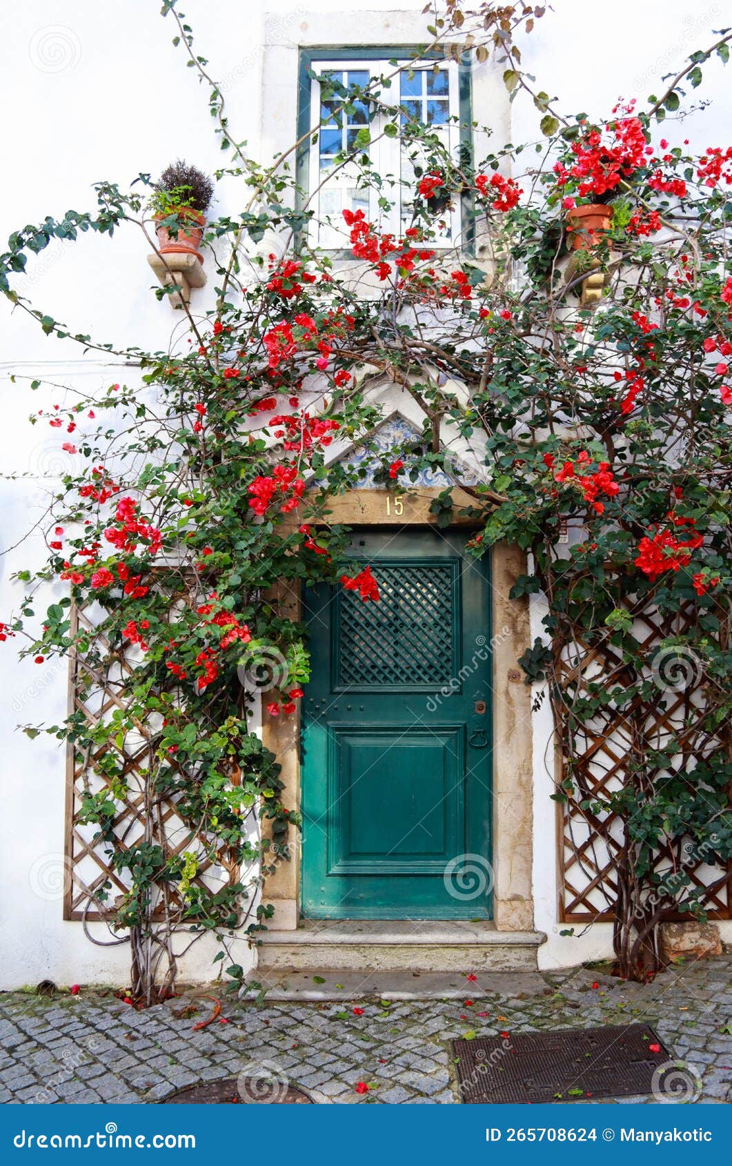 Puerta De Entrada Verde En La Fachada Foto de archivo - Imagen de ...