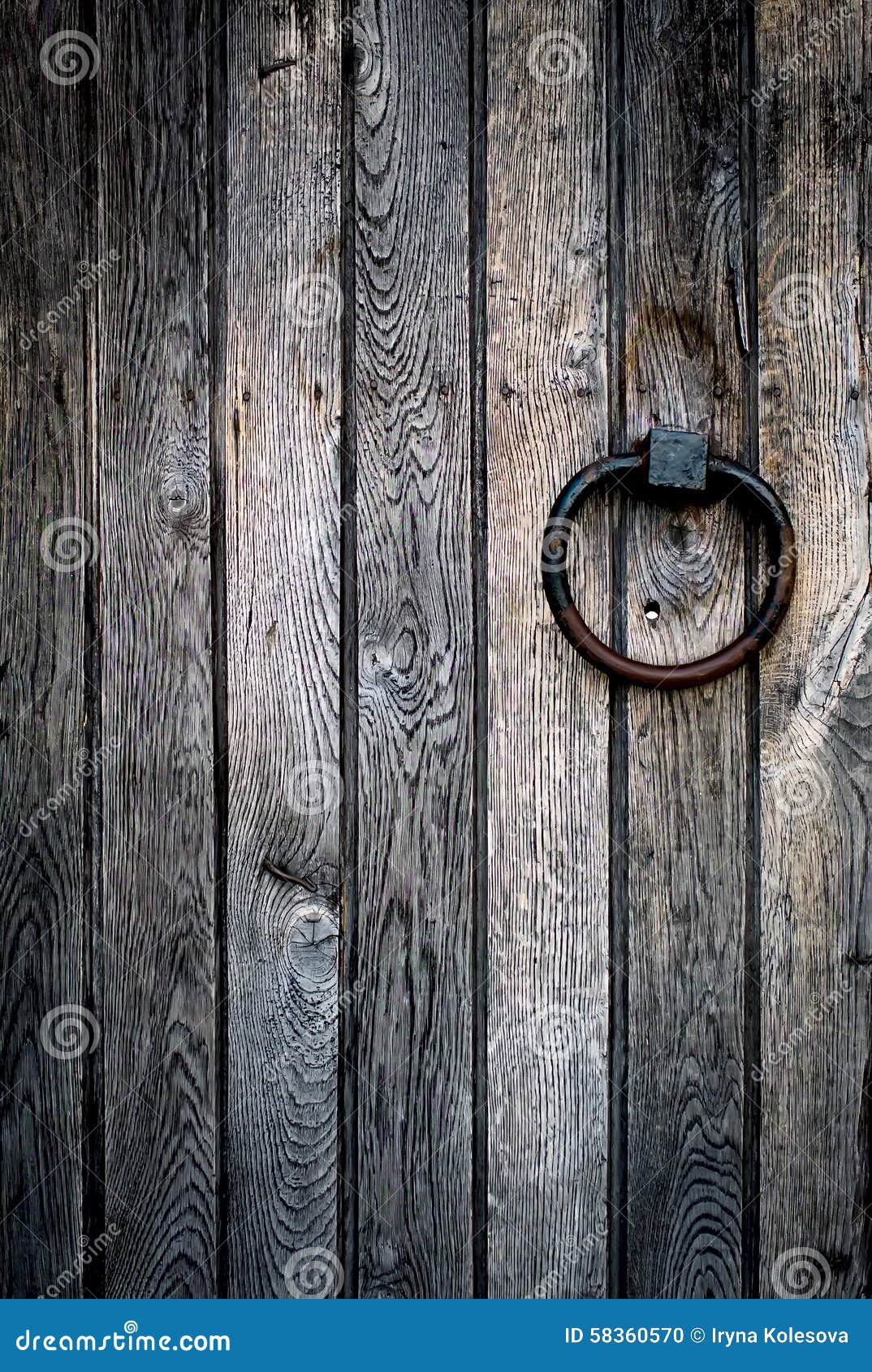 Puerta De Madera Del Viejo Vintage Foto De Archivo Imagen De Puerta