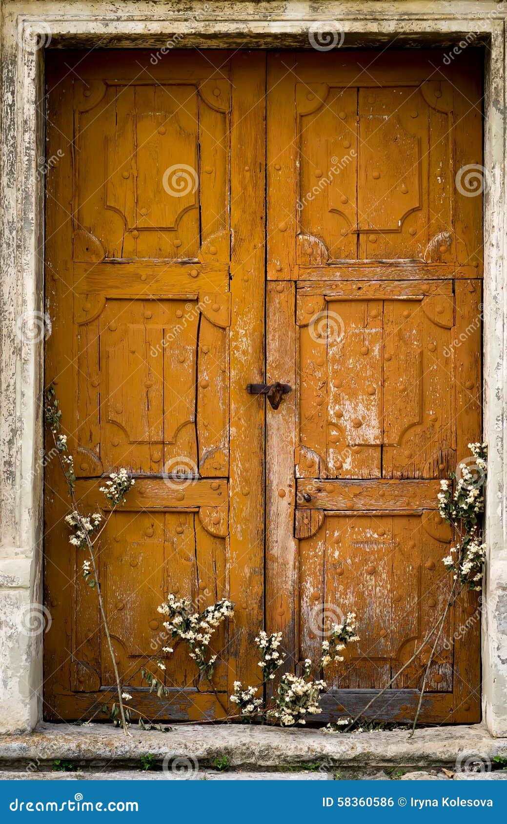 Puerta De Madera Del Viejo Vintage Foto De Archivo Imagen De Hermoso