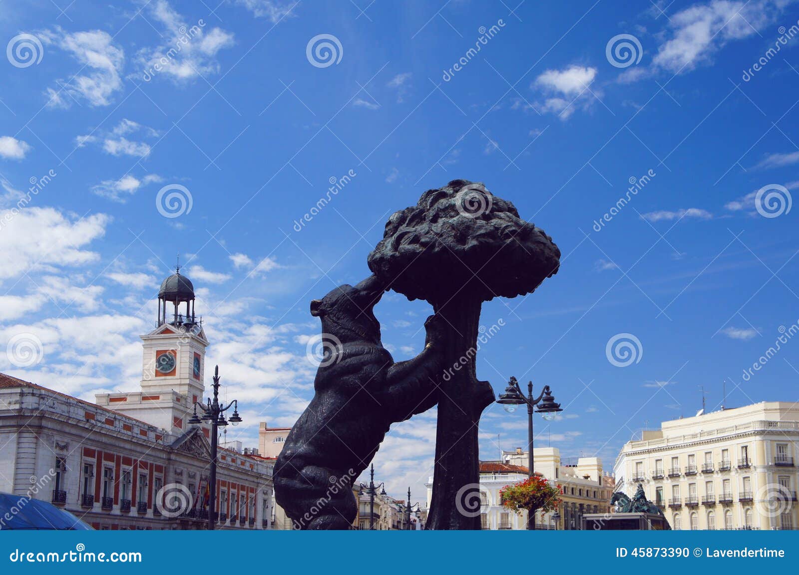 Puerta Del Sol, Bear and the Madrona Tree Stock Photo - Image of ...
