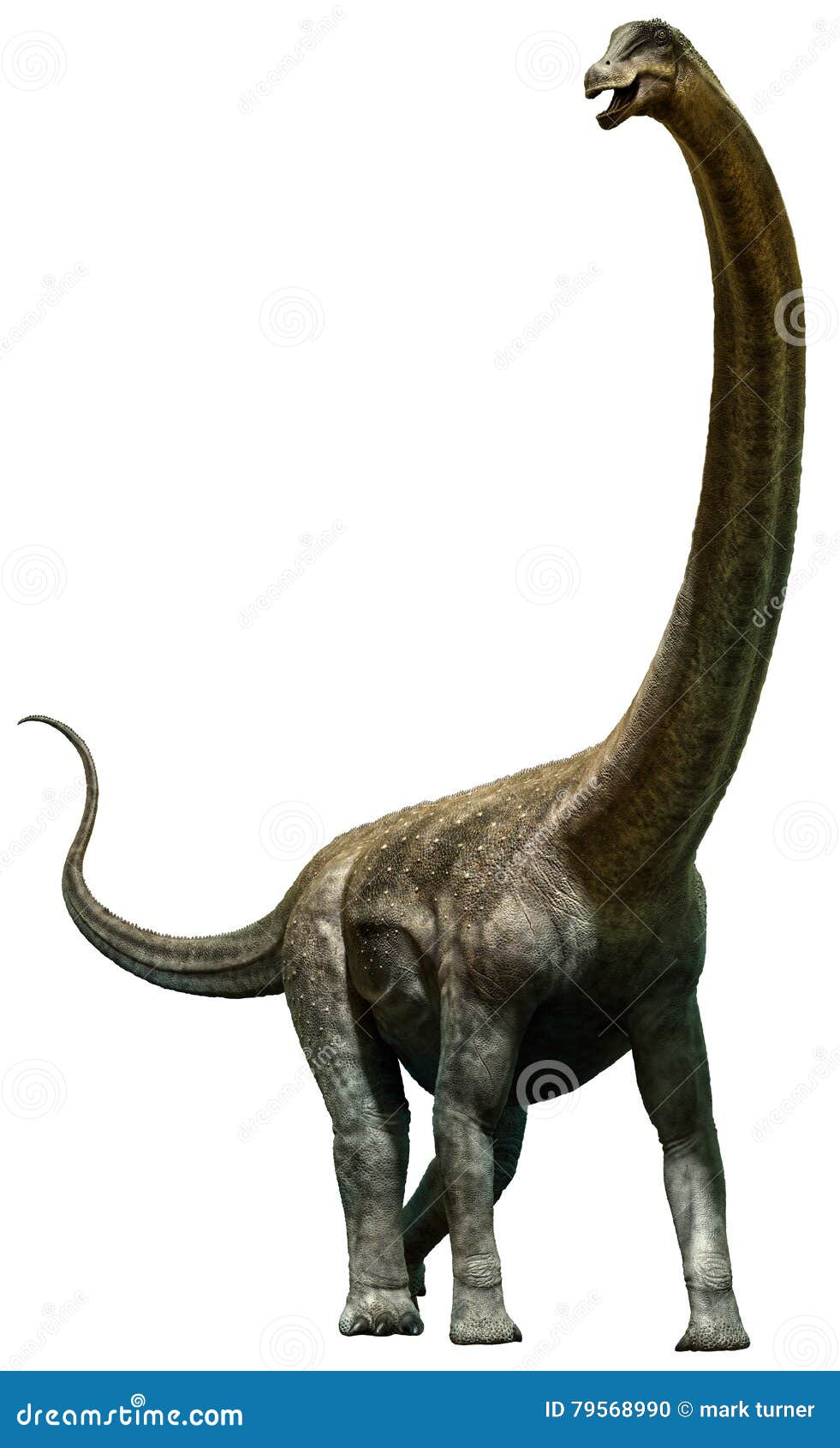 Puertasaurus stock illustration. Illustration of herbivore - 79568990