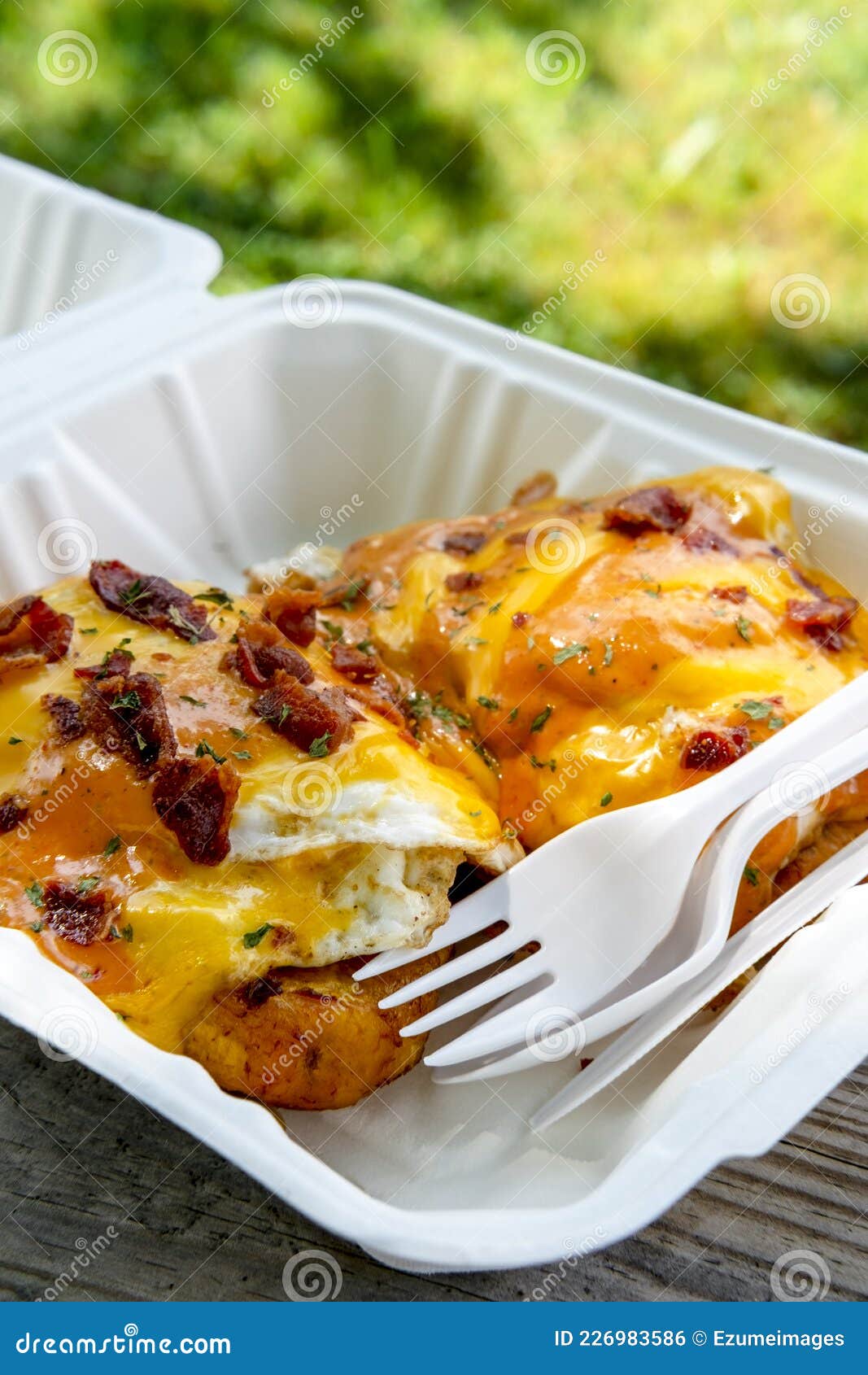Puerto Rican Egg Jibarito stock photo. Image of dinner - 226983586