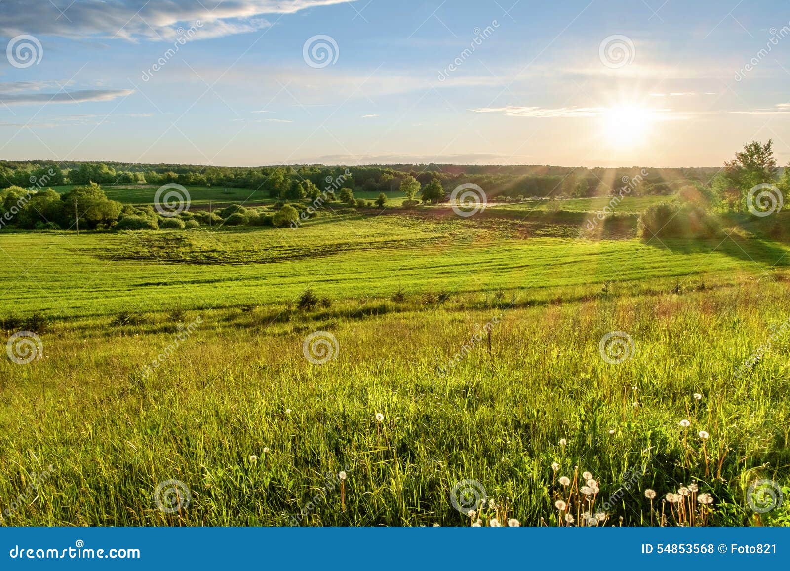 Puesta del sol del campo foto de archivo. Imagen de viga - 54853568