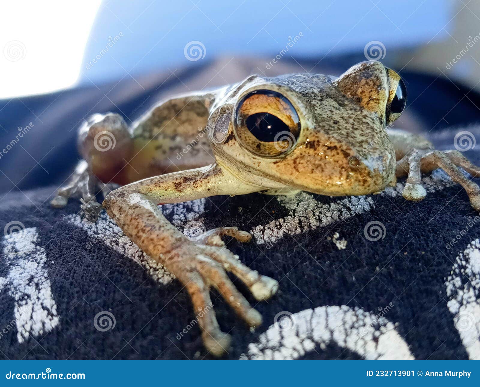 Puff Puff Pass People....i Need One More Stock Image - Image of puff ...