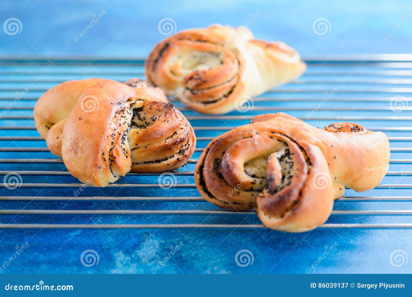 Puff Pastry Rolls with Poppy on a Lattice. Stock Image - Image of crisp ...