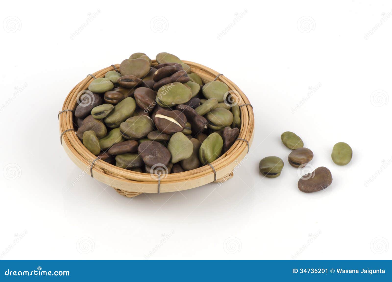 Puffbohne (Viciabohne, Fava Bean, Ackerbohne, Bell Bean Oder Tic Bean ...