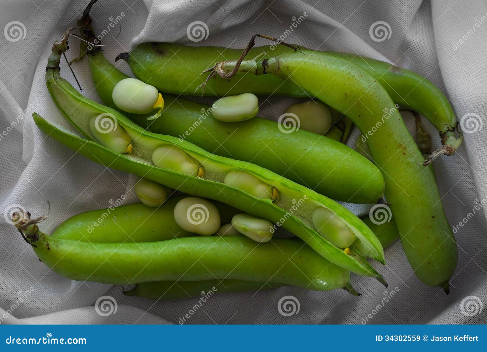 Puffbohnen fava stockbild. Bild von organisch, herausspringen - 34302559