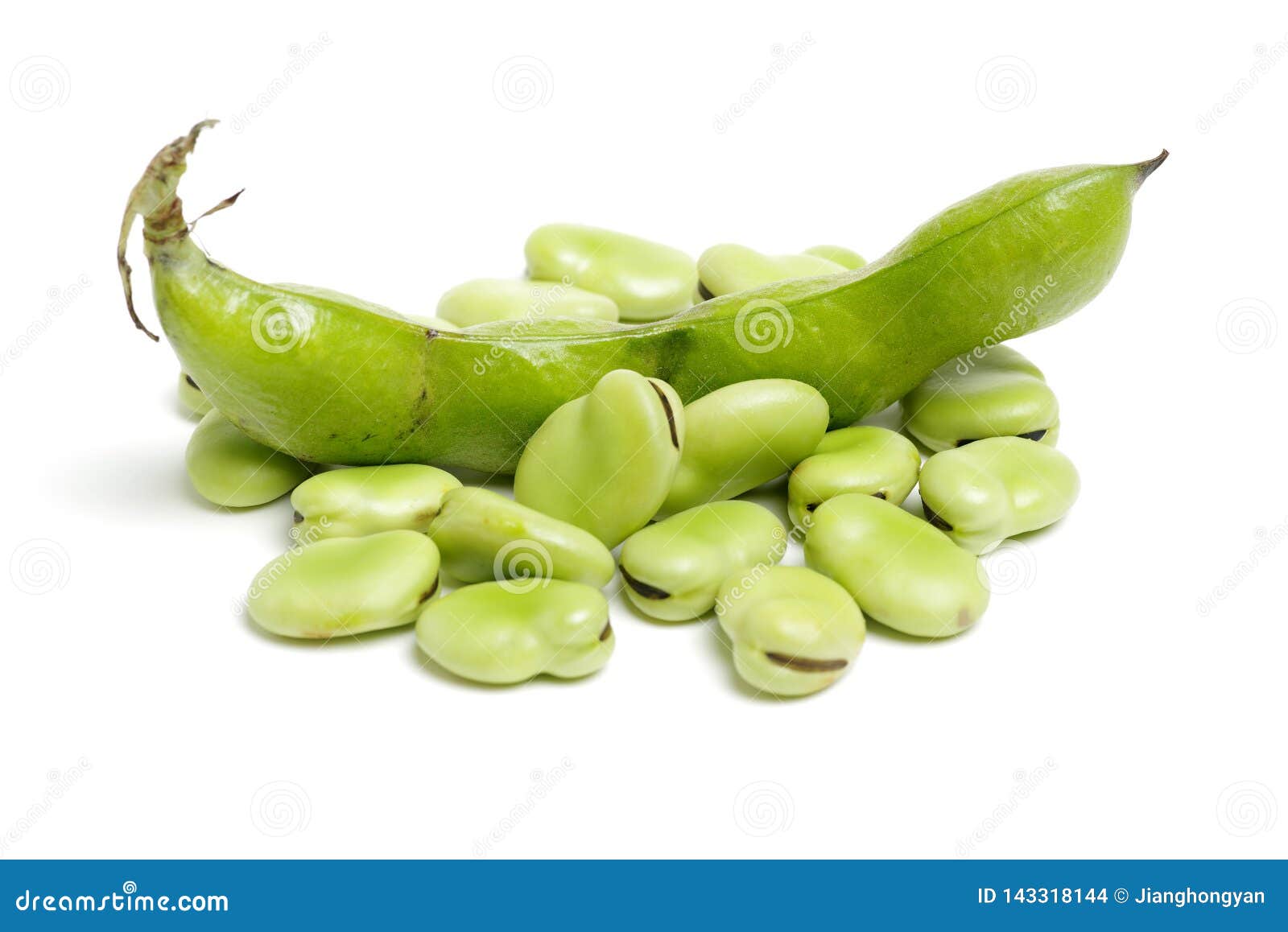 Puffbohnen stockfoto. Bild von frisch, organisch, geerntet - 143318144