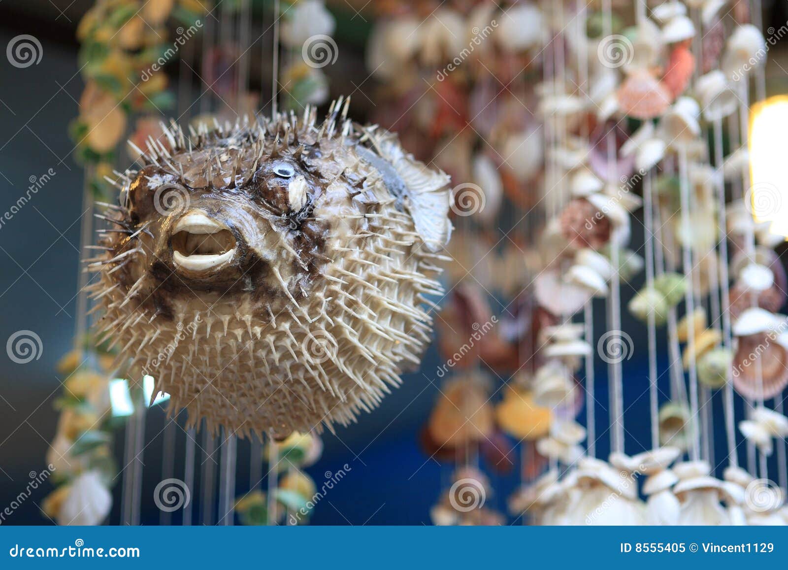 Map Puffer Fish Stock Photography | CartoonDealer.com #19806362