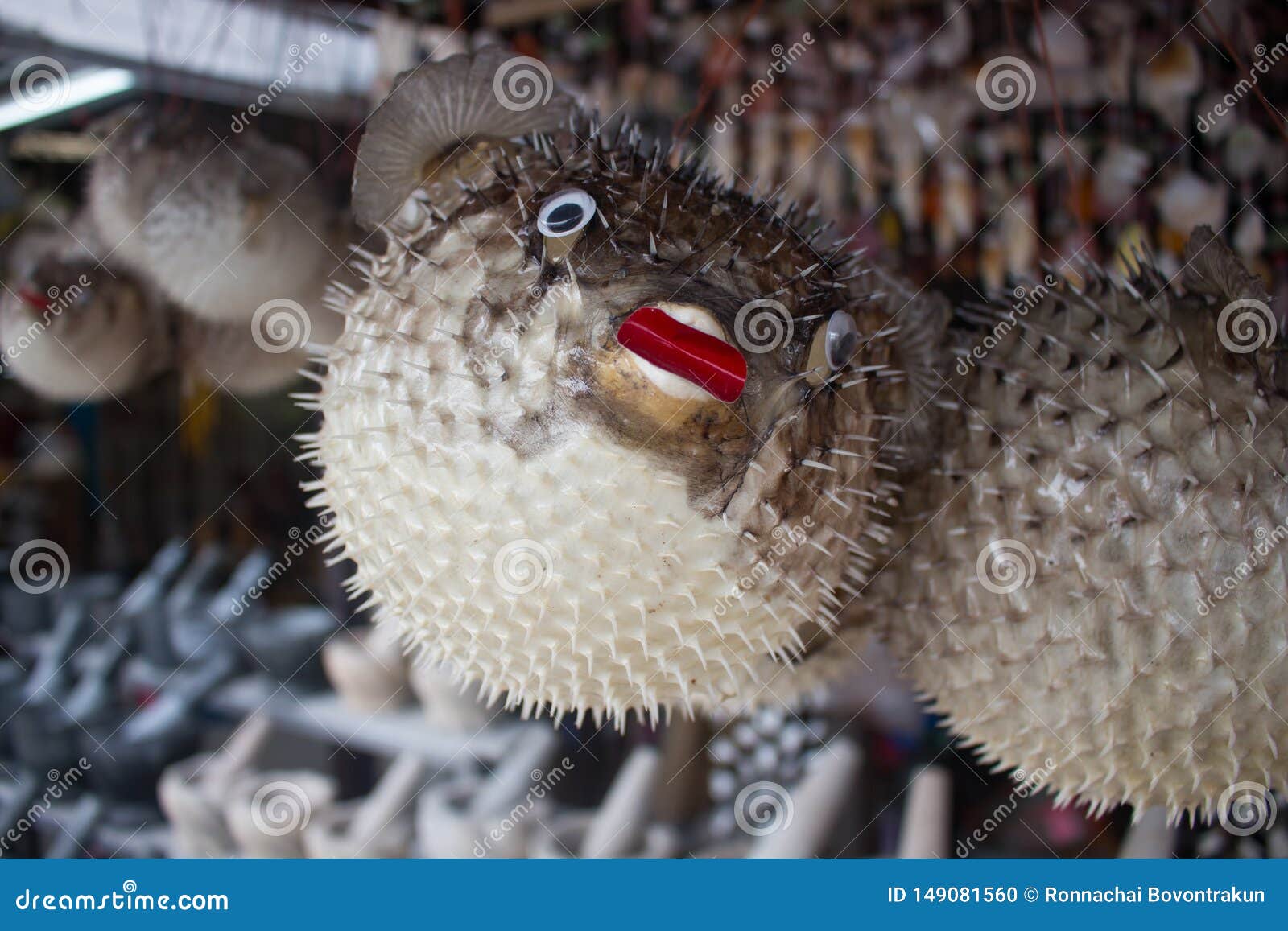 Puffer Fish Objects for Sale in a Shop Stock Photo - Image of gift ...