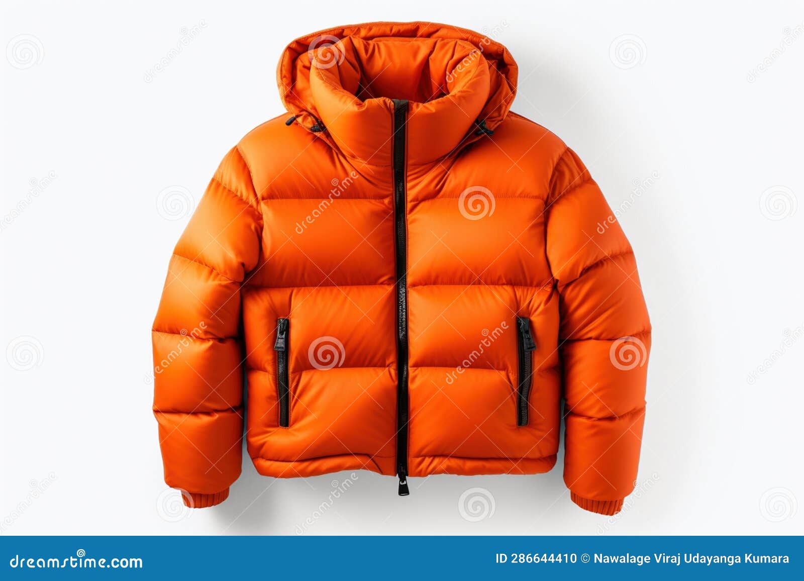 Puffer Jacket Template. Cartoon Vector | CartoonDealer.com #77997345