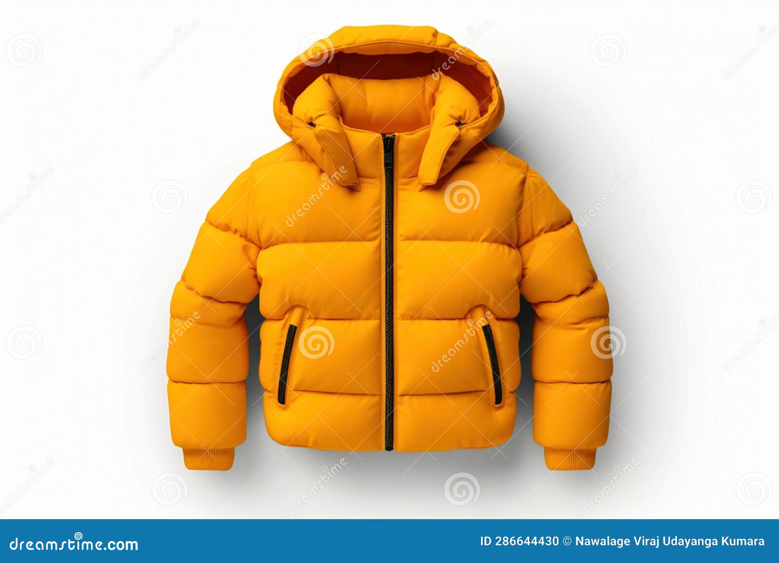 Puffer Jacket Template. Cartoon Vector | CartoonDealer.com #77997345