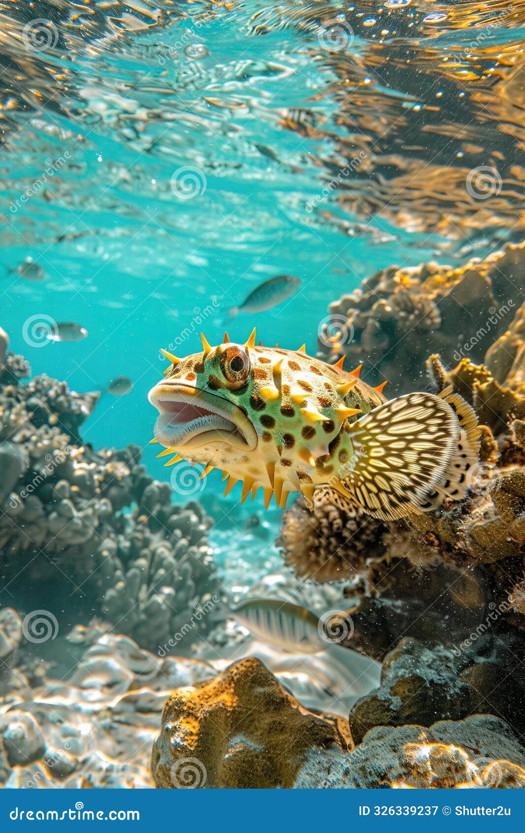 A Pufferfish With Neon Yellow Explosion Patterns Inflating In A ...