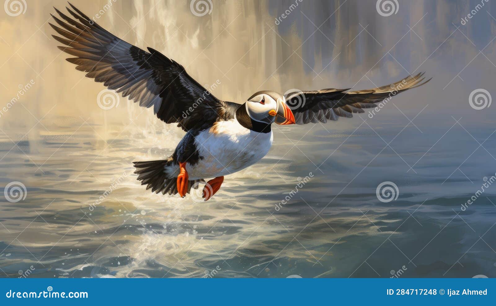 Puffin Flying Isolated On White Background. Cute Seabird Lives By The ...