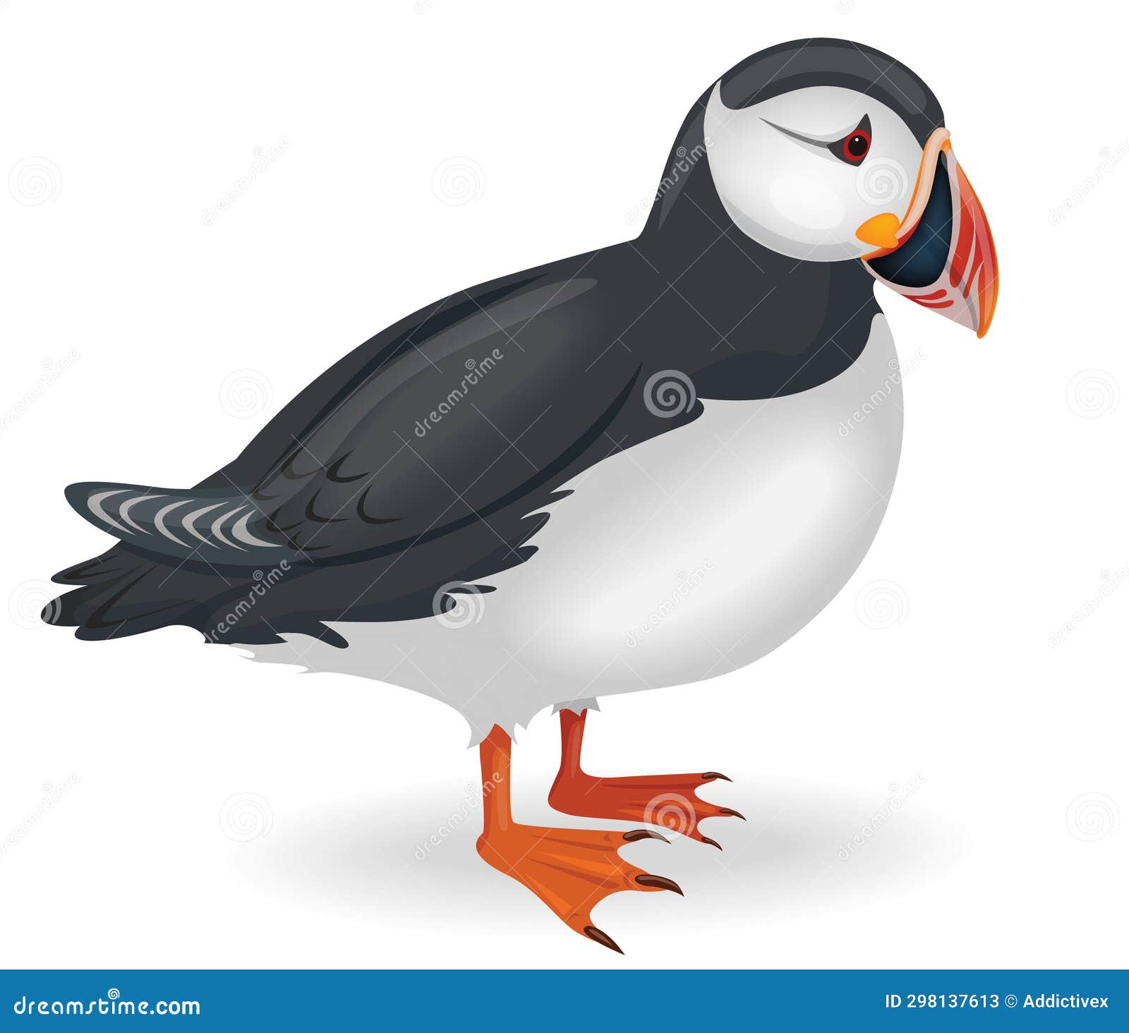 Seabird Vector Watercolor. Cute Bird Isolated On White Illustration ...