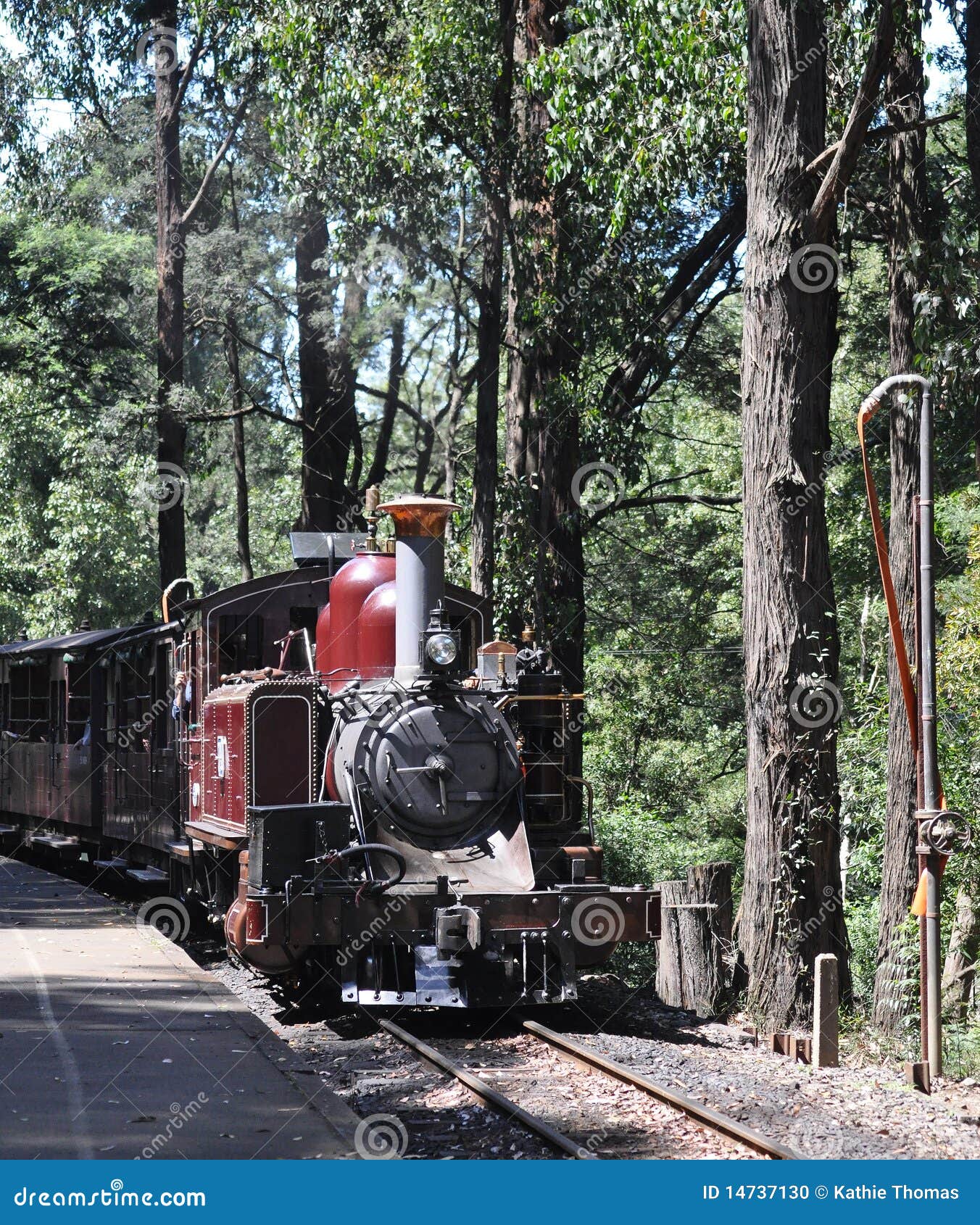 Puffing Billy in the hills stock photo. Image of rail - 14737130