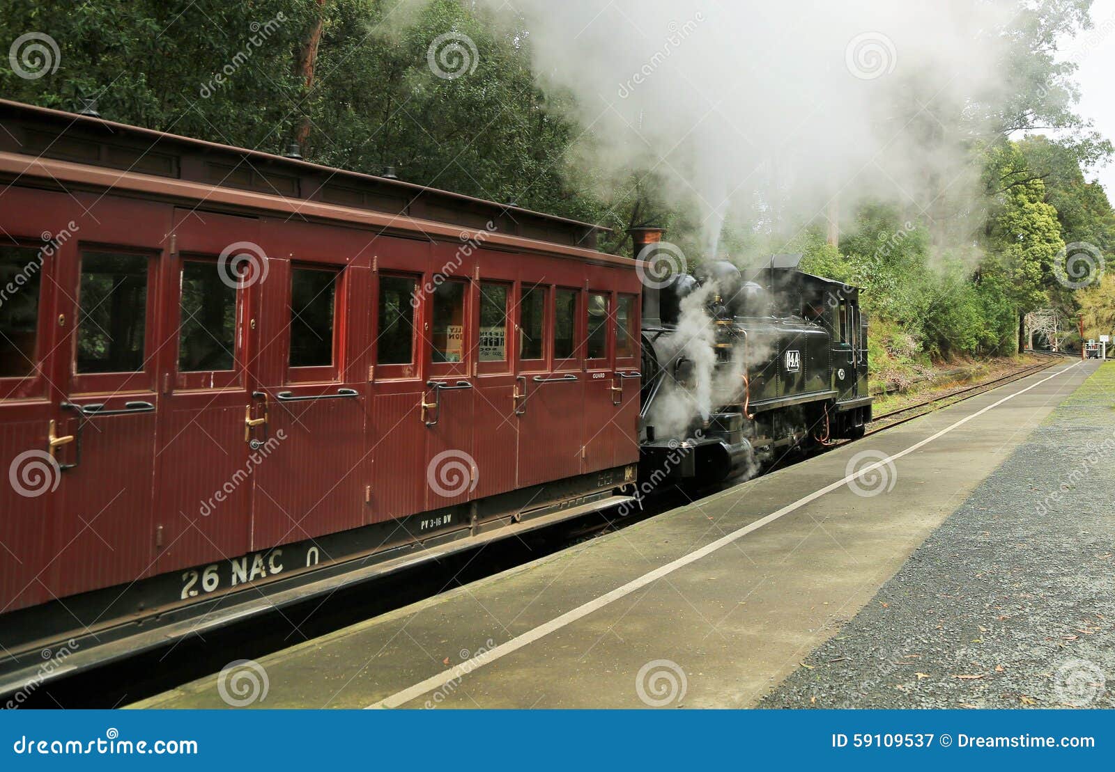 Puffing Billy editorial photography. Image of locomotive - 59109537