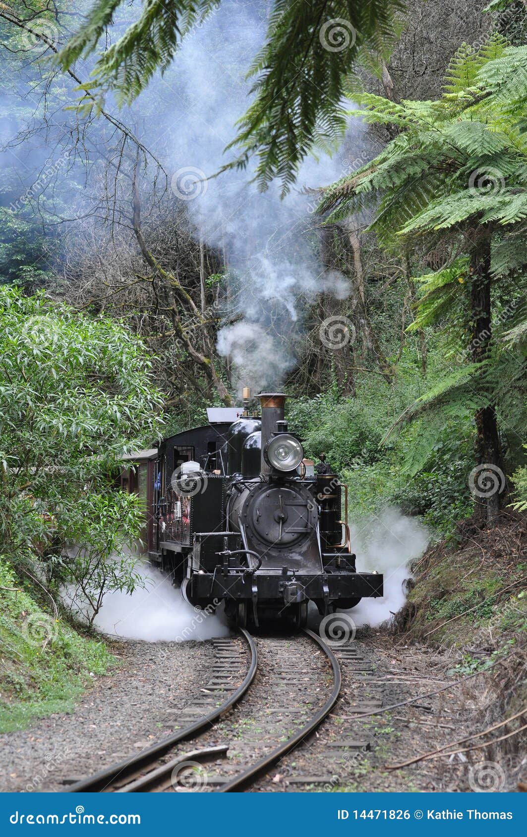 Puffing Billy Train stock photo. Image of australia, track - 14471826