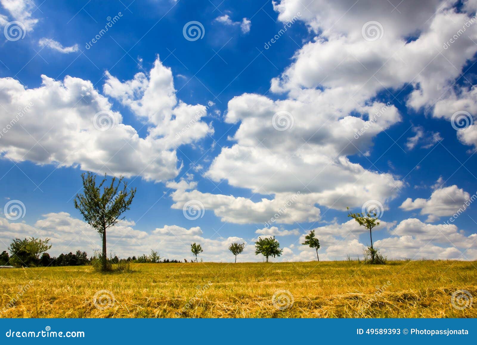 Puffy clouds and blue sky stock image. Image of clouds - 49589393