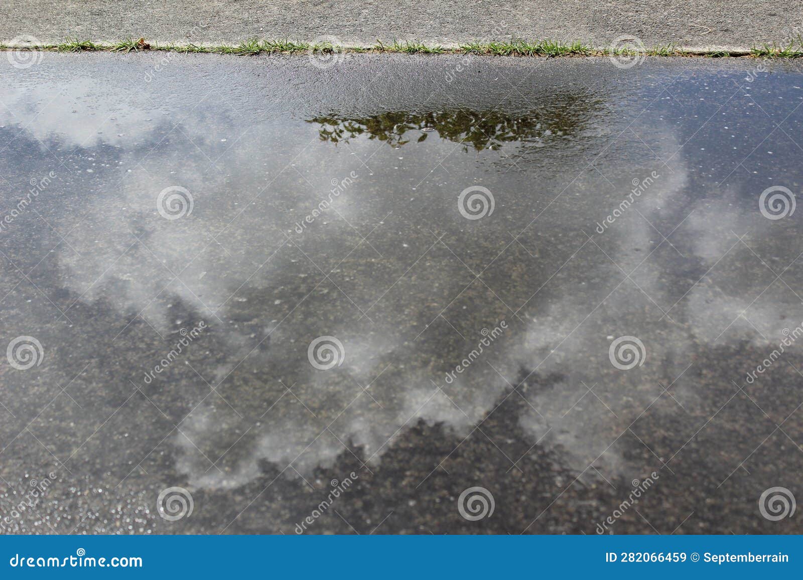 Scenery Reflection in a Puddle of Rain Water Stock Image - Image of ...
