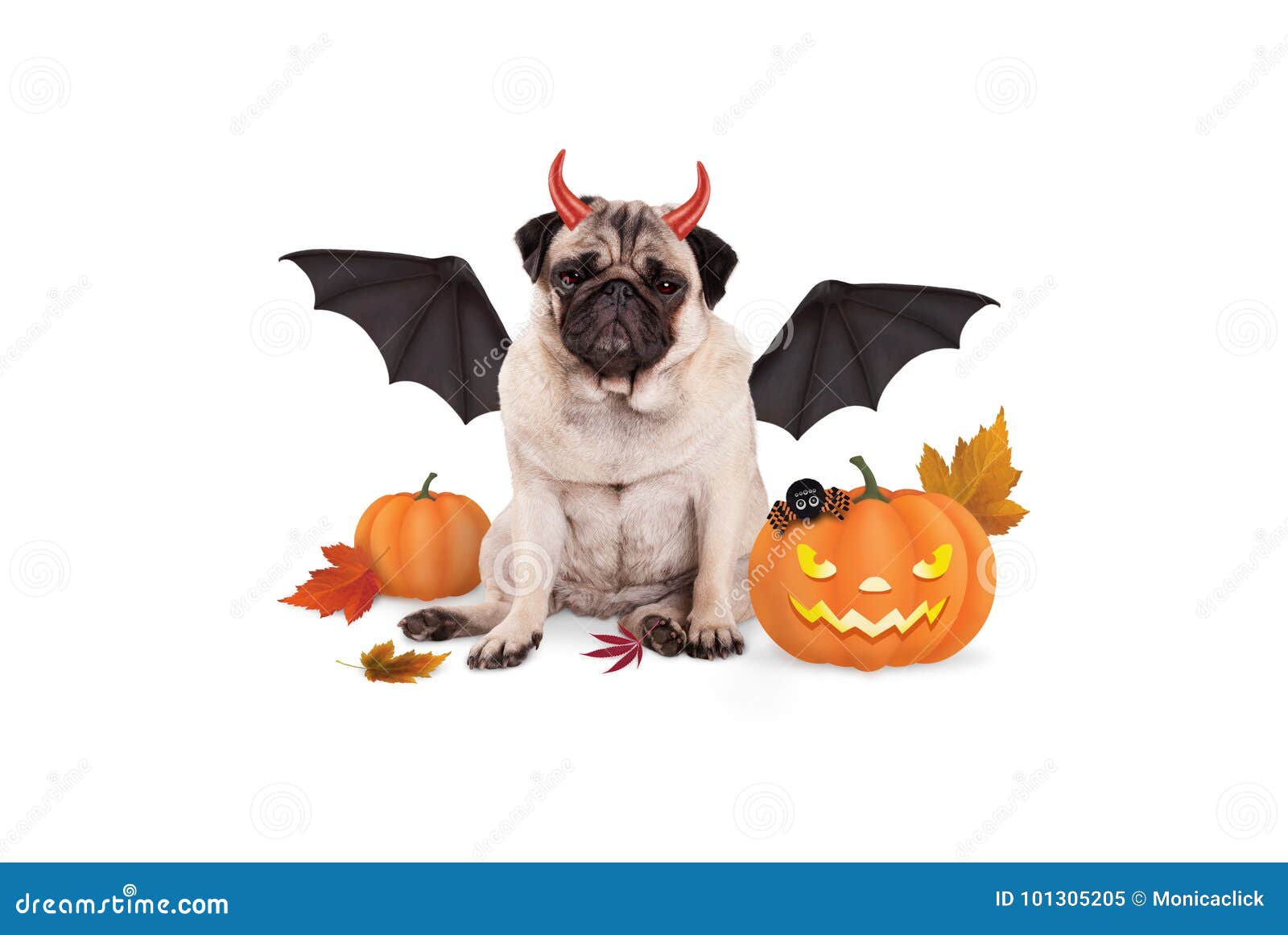 Pug Dog Dressed Up As Devil for Halloween, with Scary Pumpkin Lantern ...