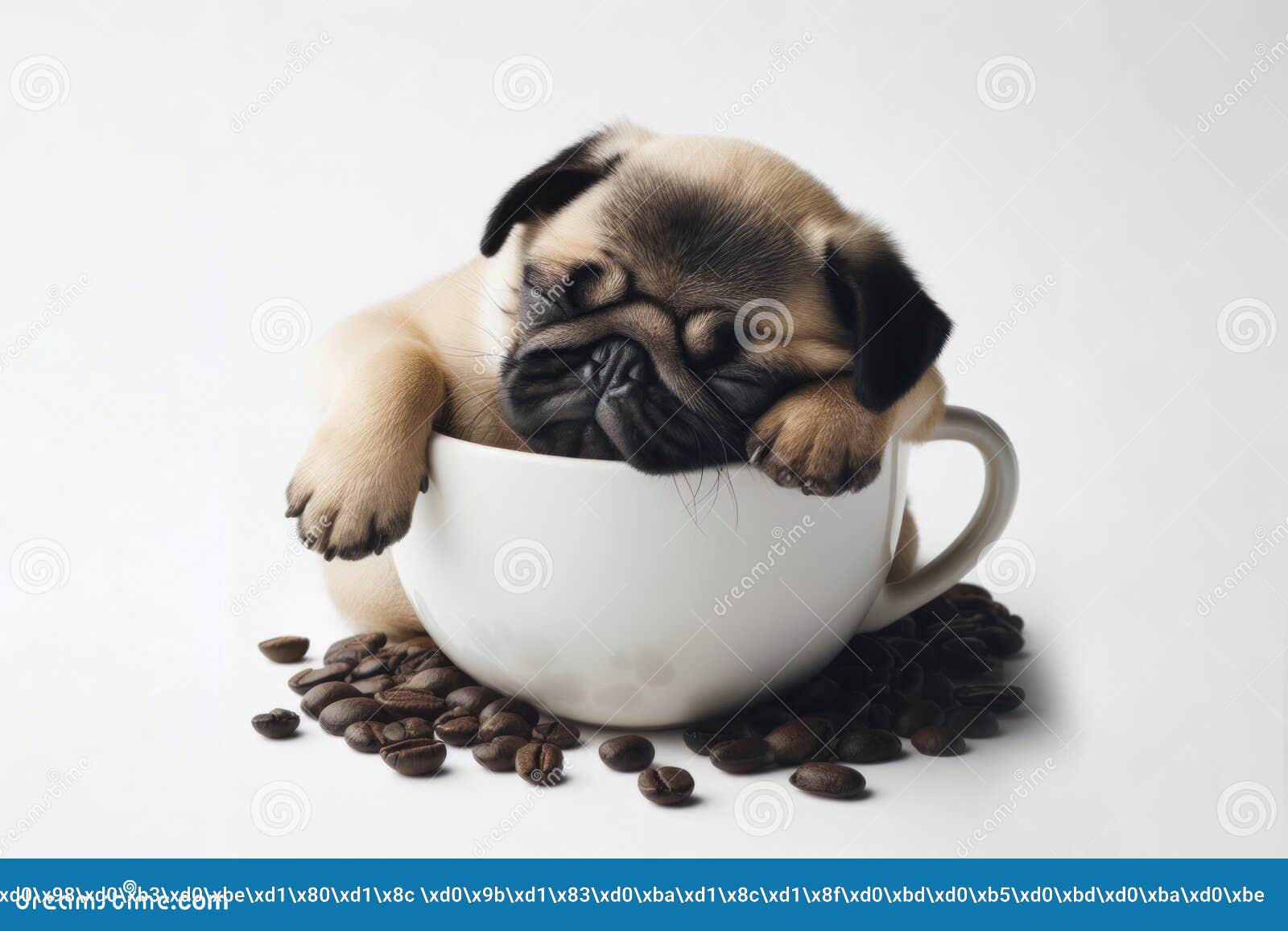 Pug Dog Sleep in a Cup of Coffee on Solid White Background. Ai ...