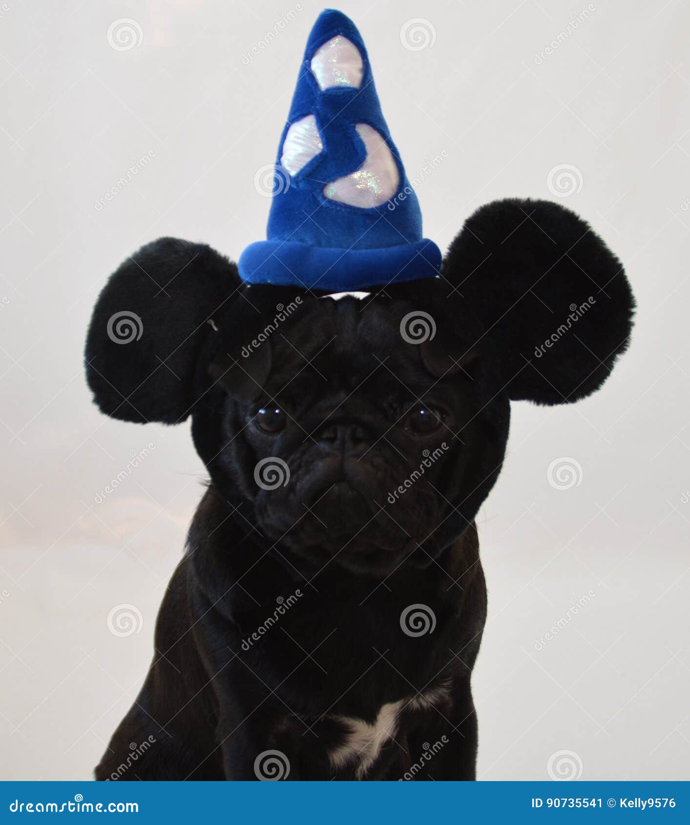 Pug dog wearing mouse ears stock image. Image of thoughtful - 90735541