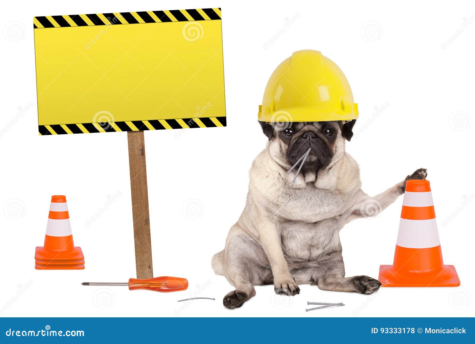 Pug Dog With Yellow Constructor Worker Safety Helmet And Cone, Plus ... Pug Dog With Yellow Constructor Worker Safety Helmet And Cone, Plus ...