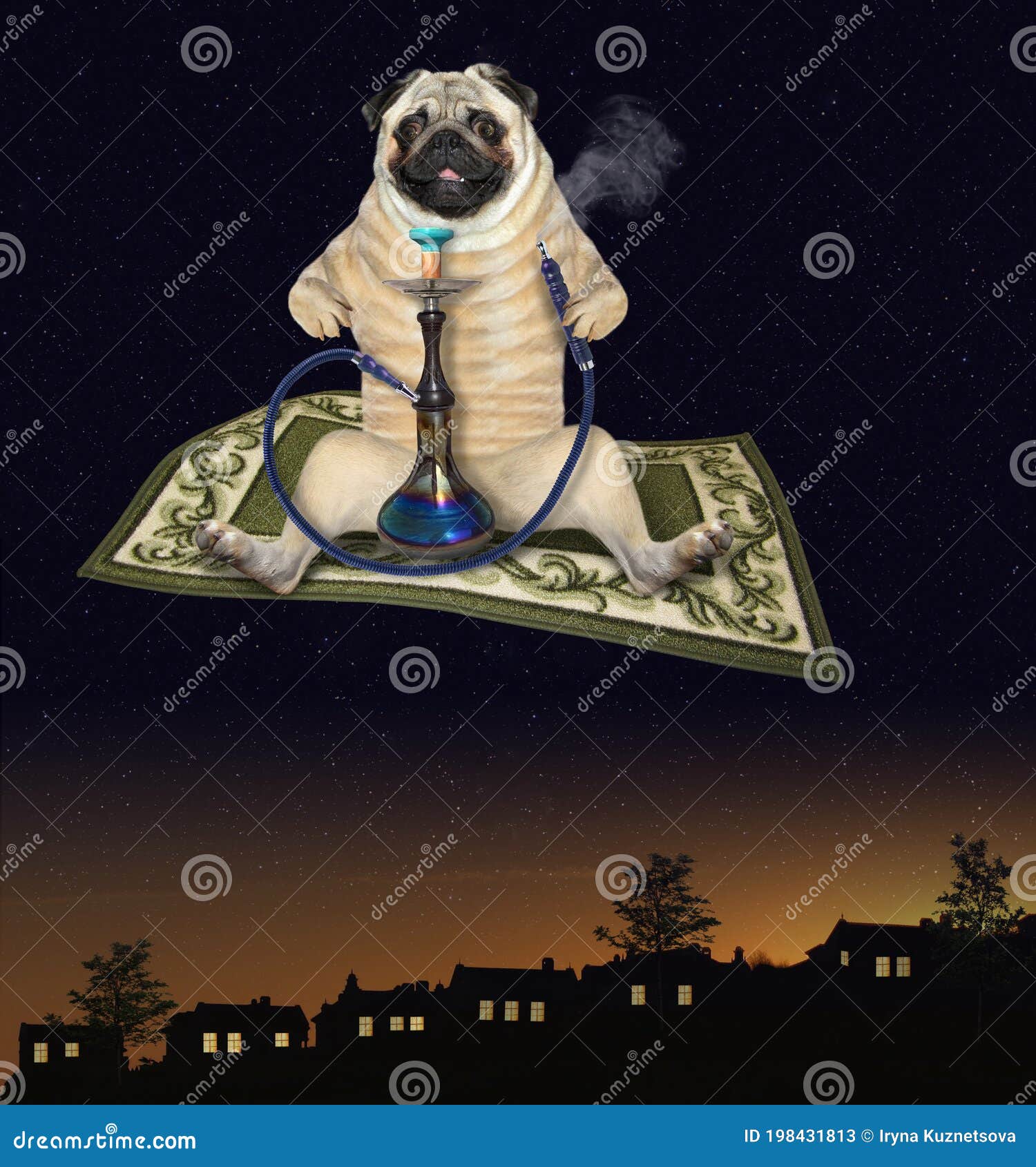Pug Smoking Hookah on Magic Carpet Stock Image - Image of fairy, carpet ...
