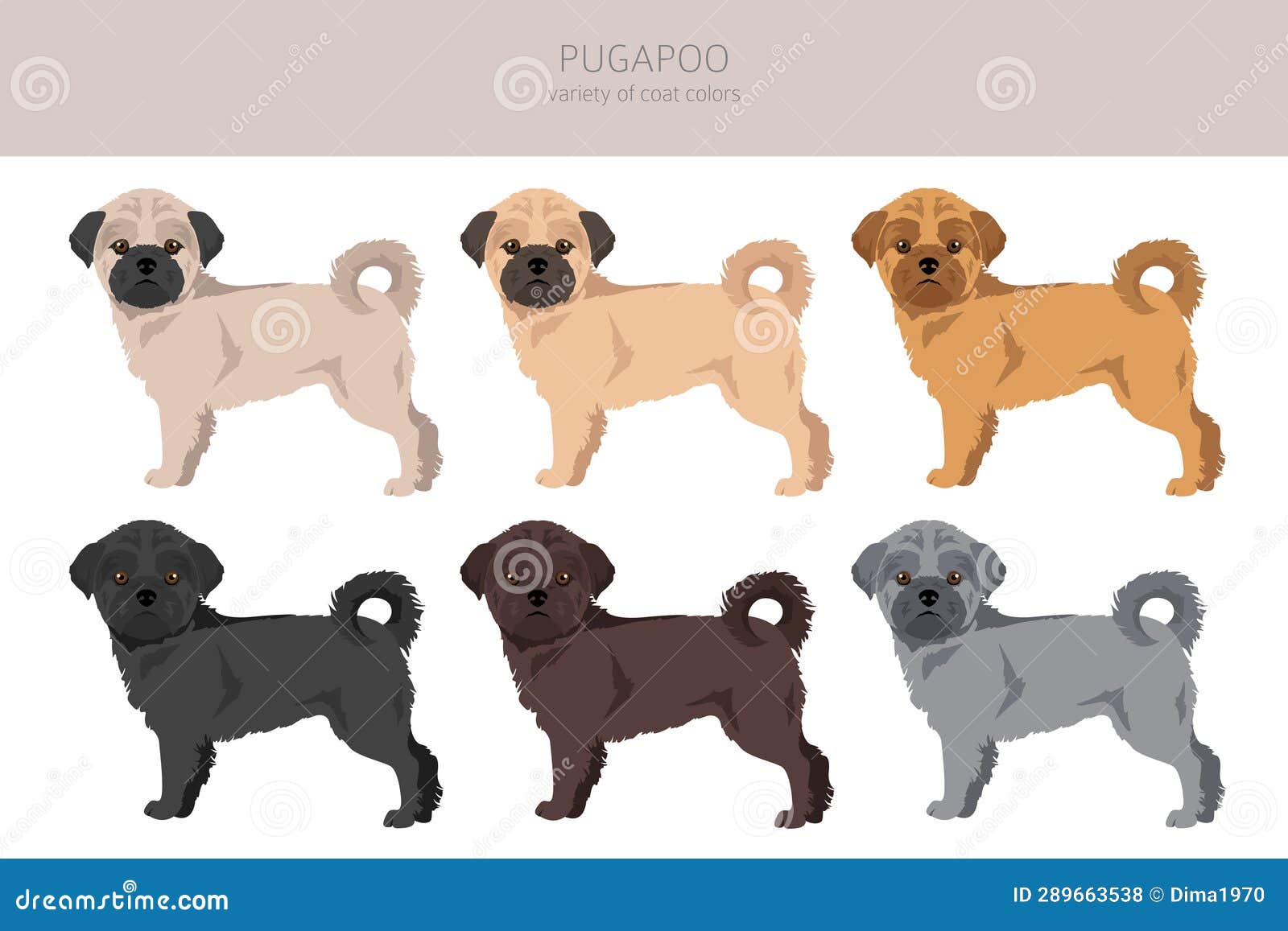 Pugapoo Clipart. Pug Poodle Mix Stock Illustration - Illustration of ...