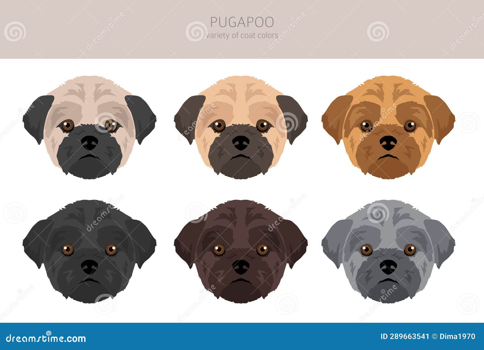 Pugapoo Clipart. Pug Poodle Mix Stock Illustration - Illustration of ...