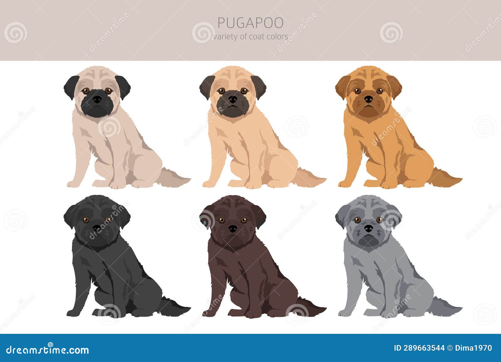 Pugapoo Clipart. Pug Poodle Mix Stock Vector - Illustration of breed ...