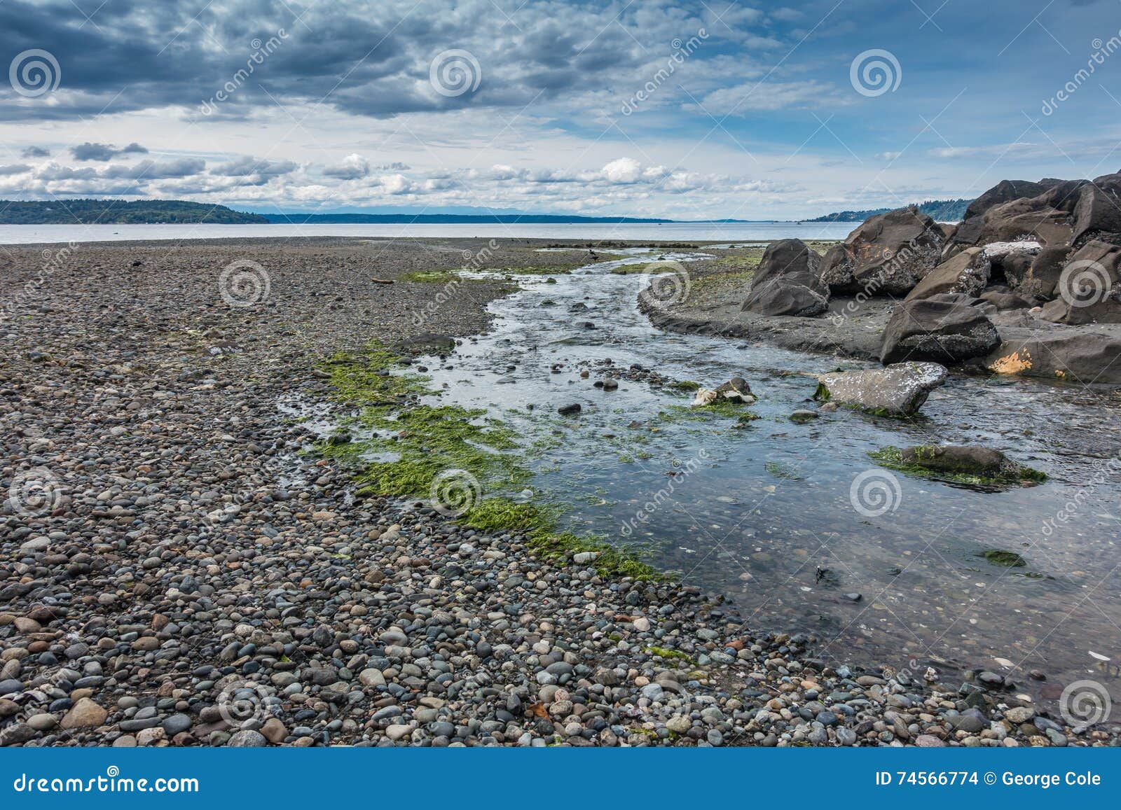 Puget Sound Landscape stock photo. Image of stream, coast - 74566774
