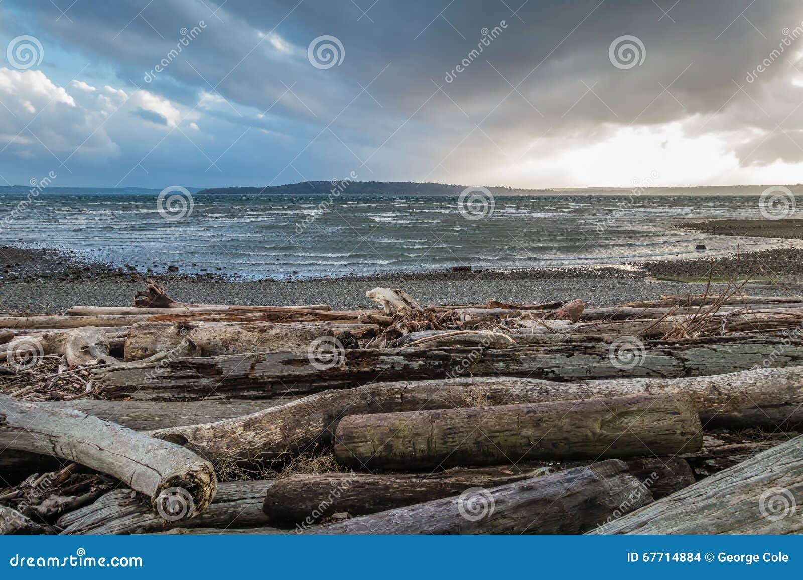 Puget Sound Shoreline 3 stock photo. Image of pacific - 67714884