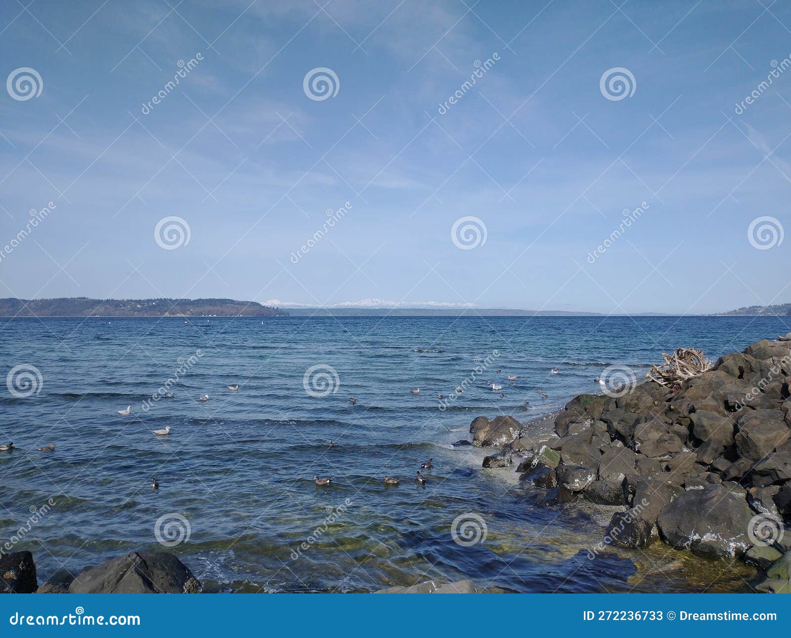 Puget Sound View on a Sunny Day Stock Image - Image of sunny, stunning ...