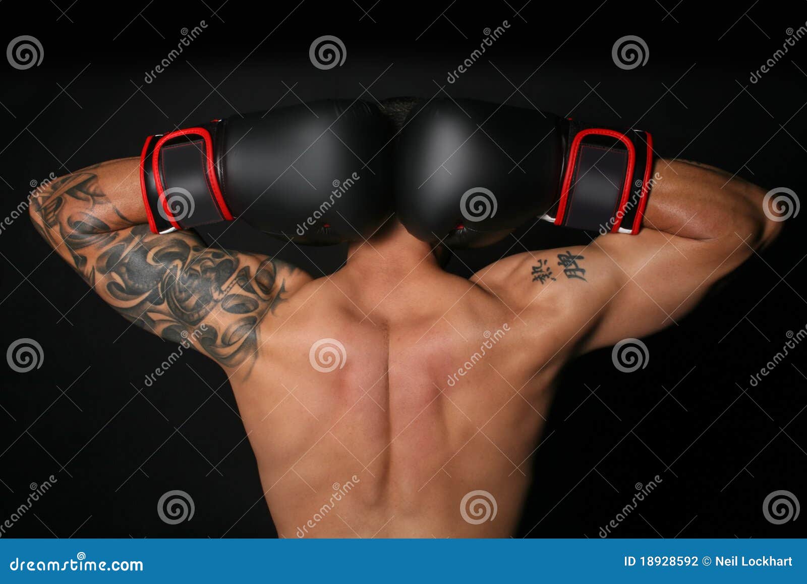 Pugile tatuaato fotografia stock. Immagine di nero, lotta - 18928592