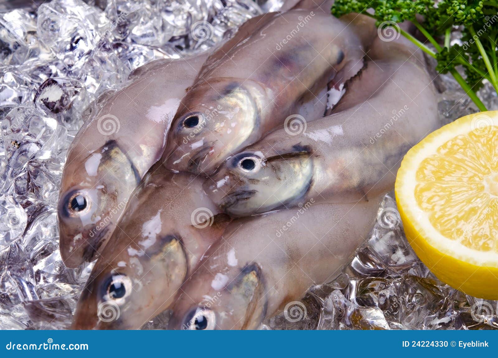 Puitaal stock foto. Image of dieet, vers, diner, organisch - 24224330