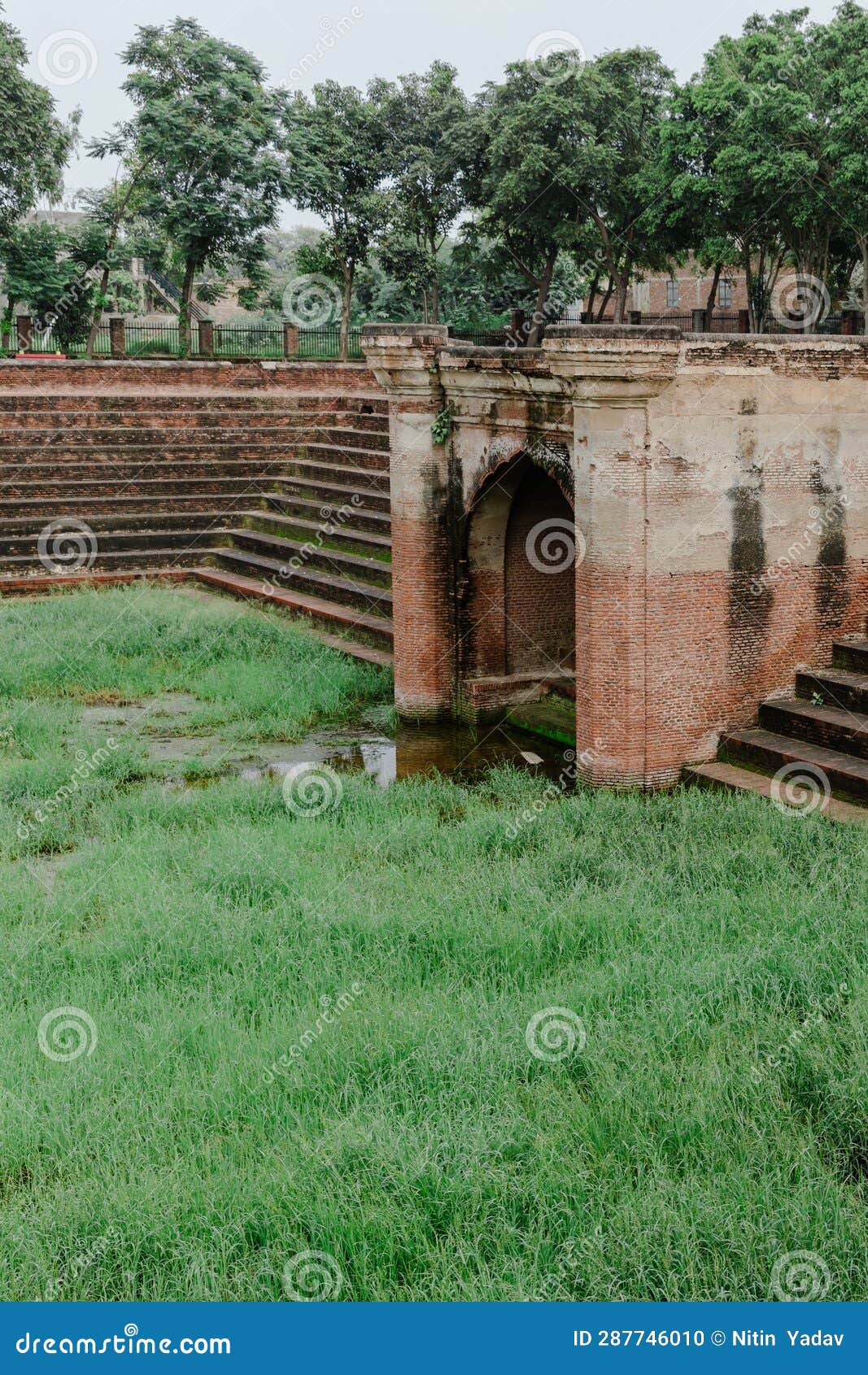 Pul Kanjri, Punjab, India. stock photo. Image of eucalyptus - 287746010