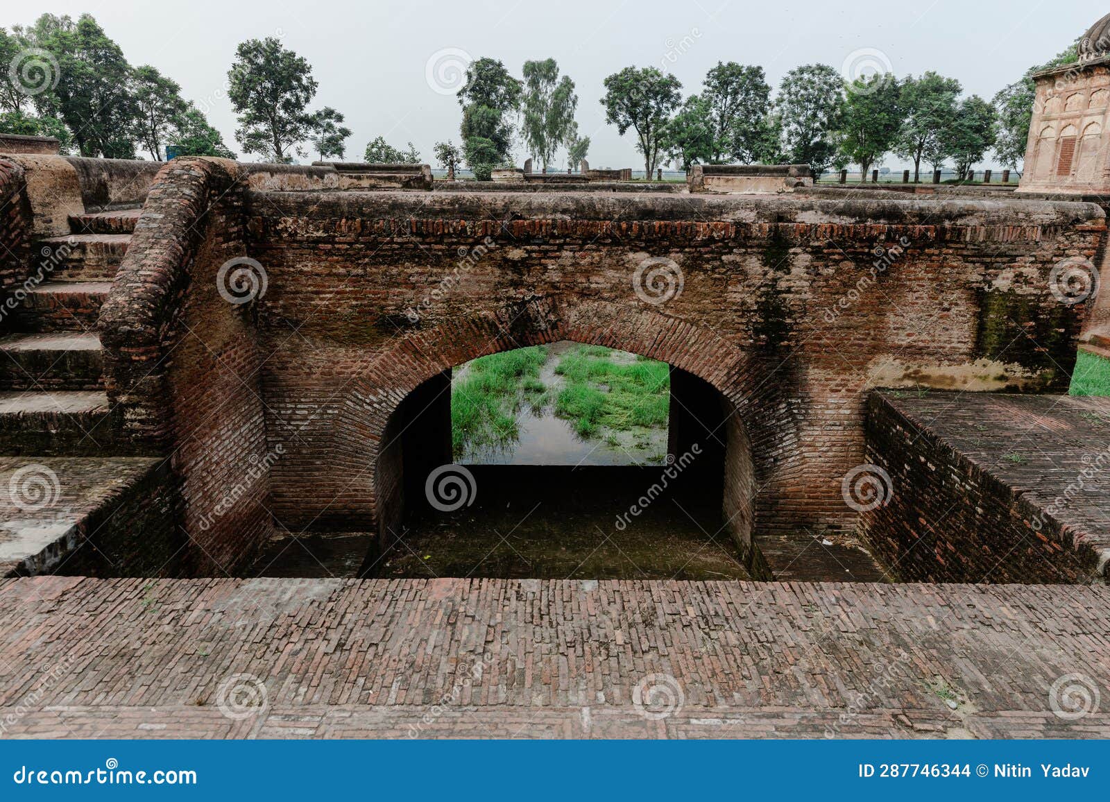 Pul Kanjri, Punjab, India. stock photo. Image of eucalyptus - 287746344