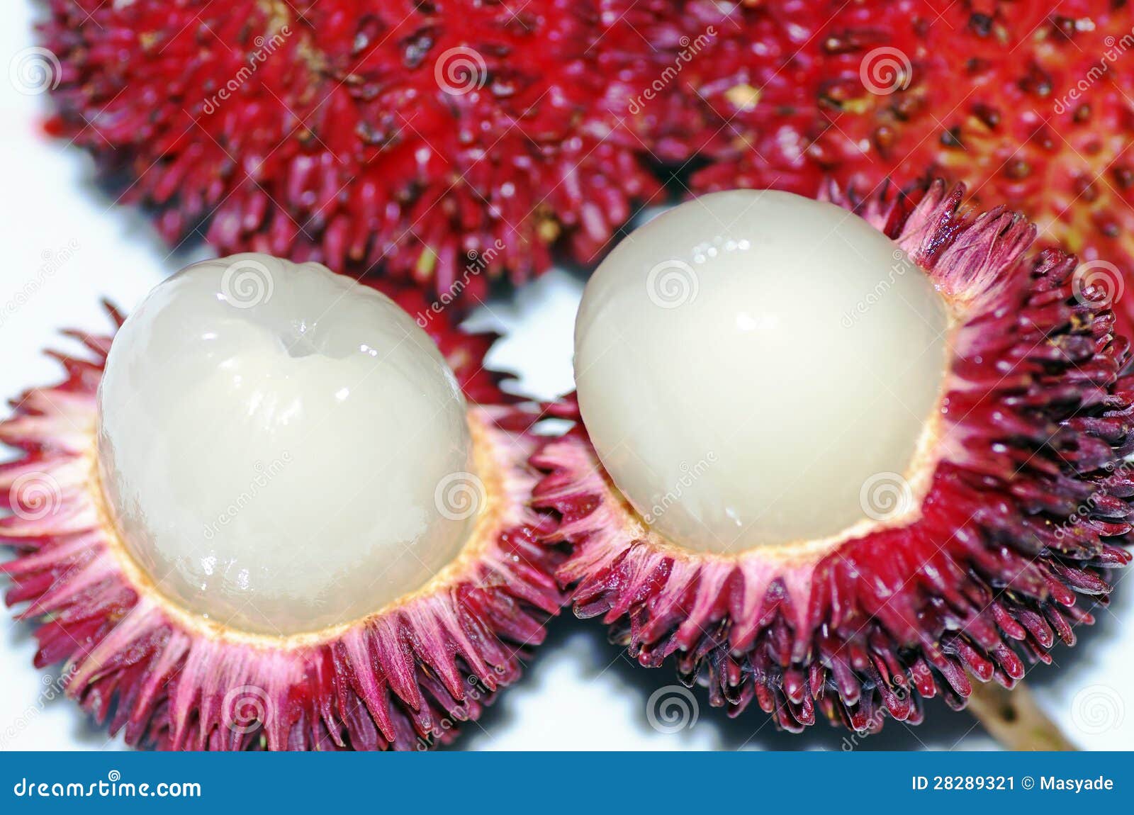 Pulasan fruits stock image. Image of spectacular, tropical - 28289321