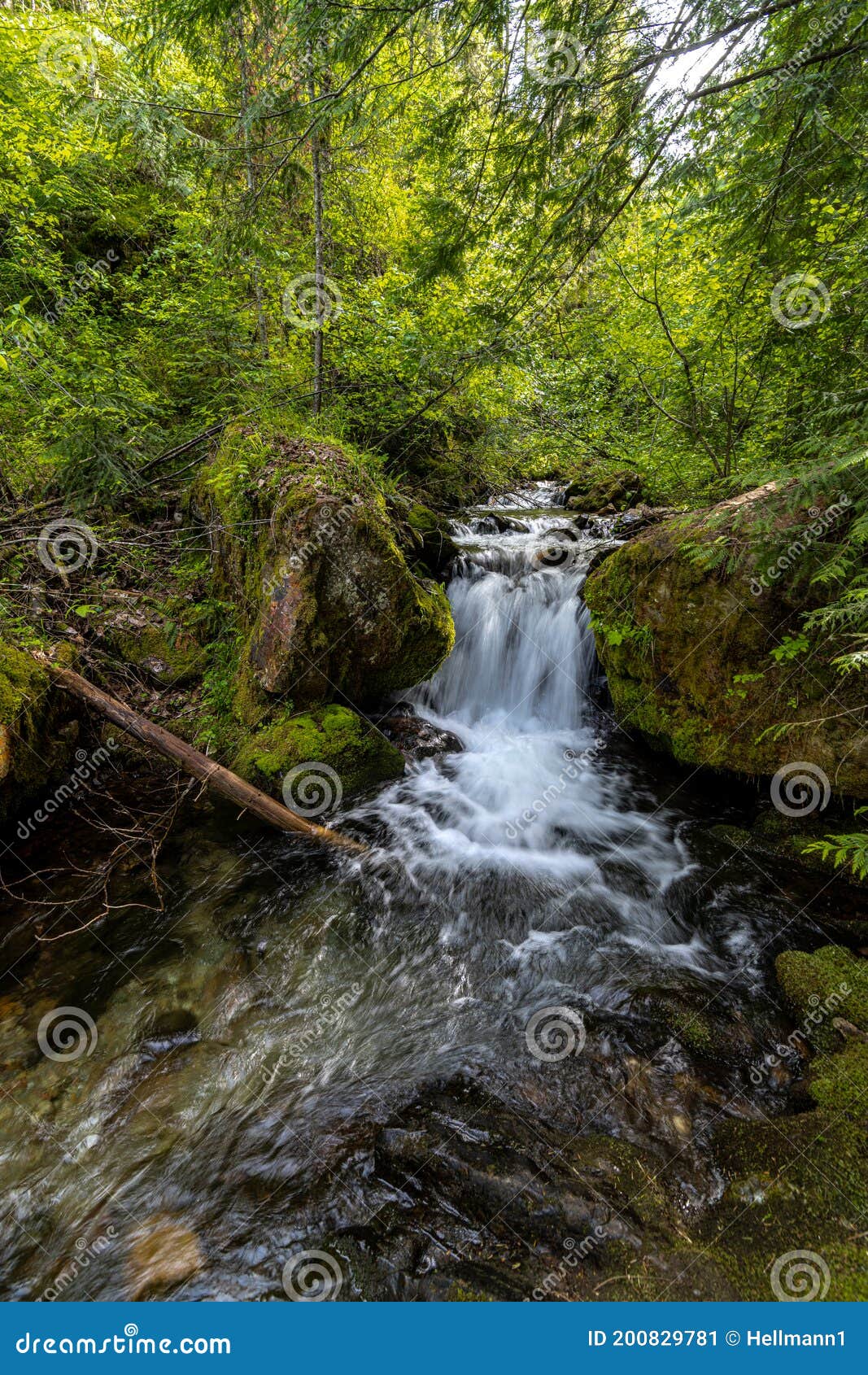 Pulaski Trail in Wallace stock image. Image of cascading - 200829781