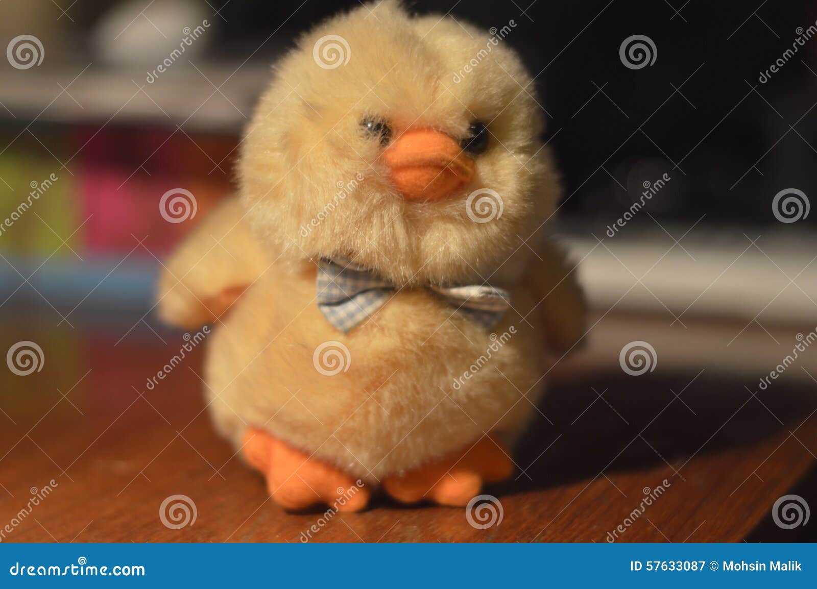 Pulcino immagine stock. Immagine di bambino, farcito - 57633087