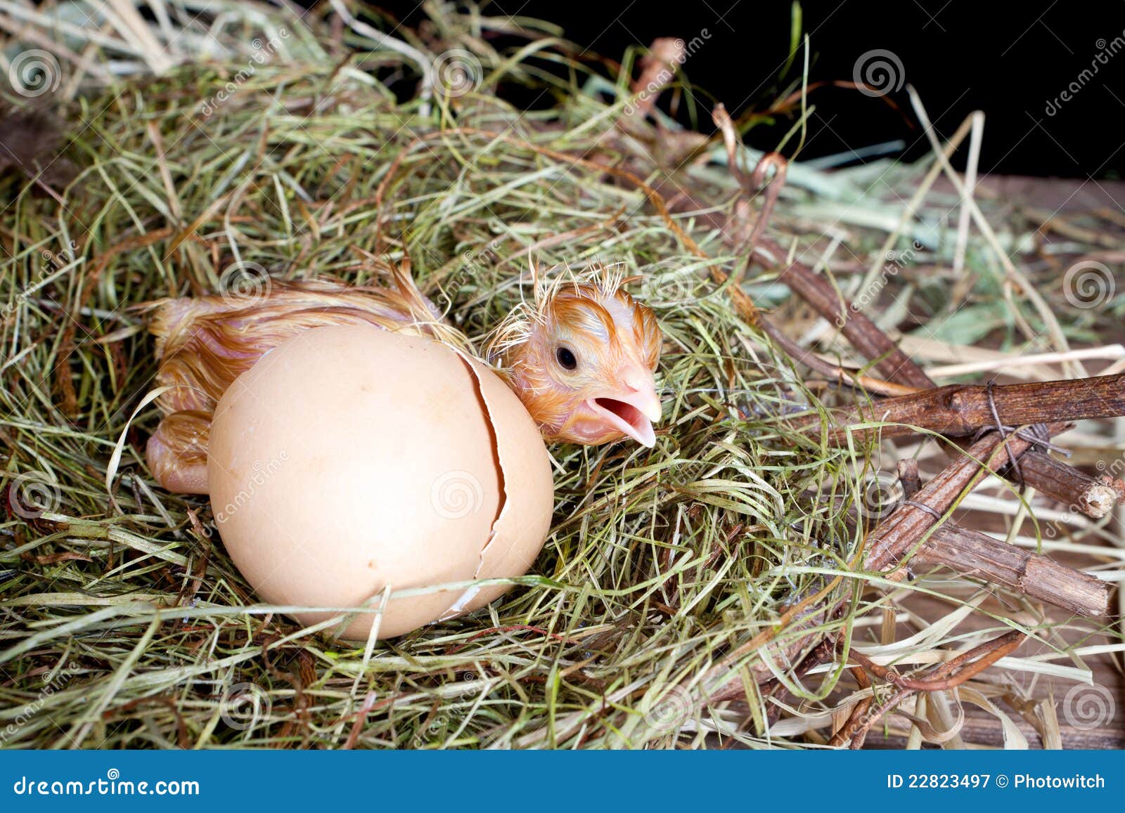 2,050 {parola chiave} Foto stock - Foto stock gratuite e royalty free ...